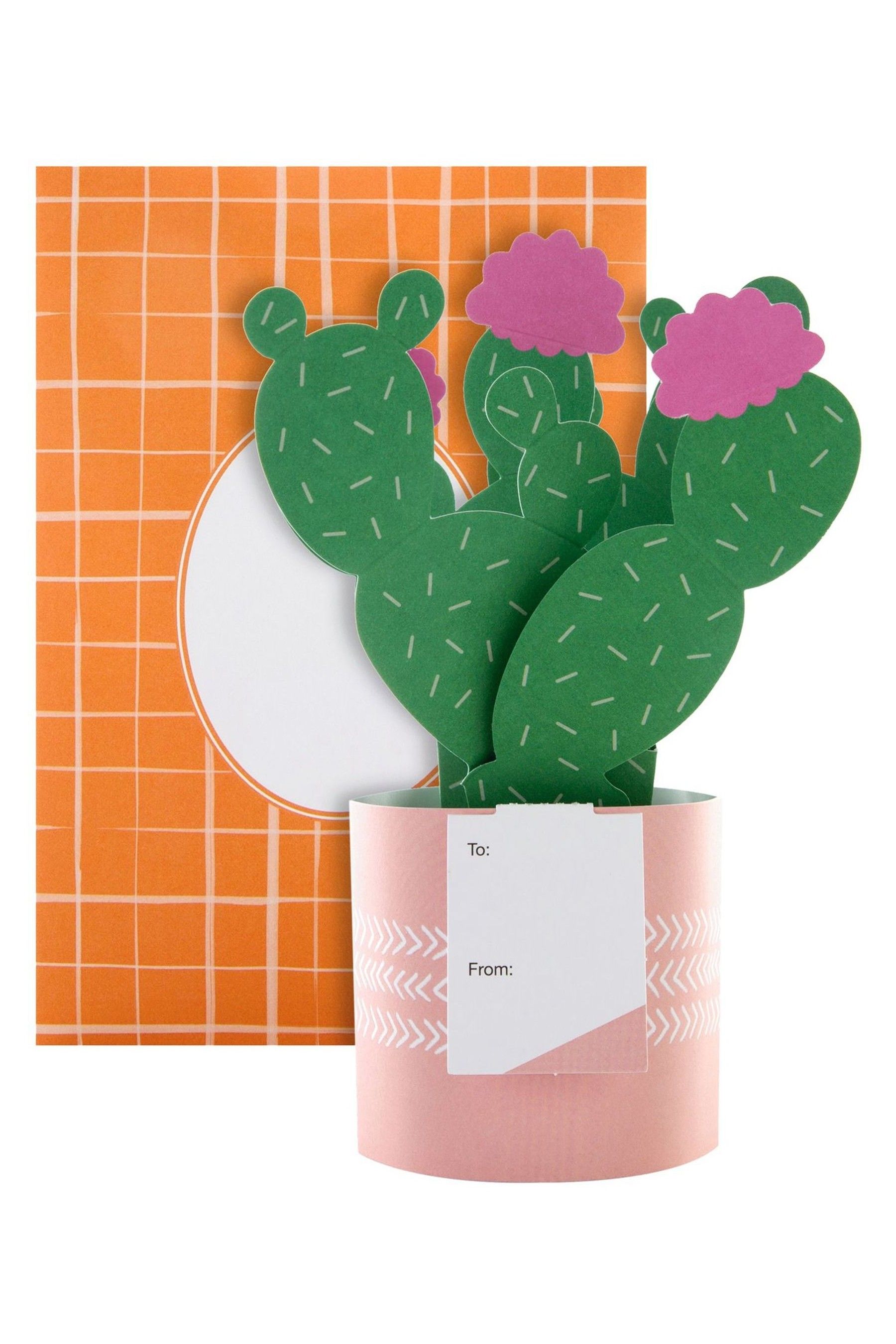 Buy Hallmark Green Just To Say Card 3D Pop Up Cactus from the Next UK ...