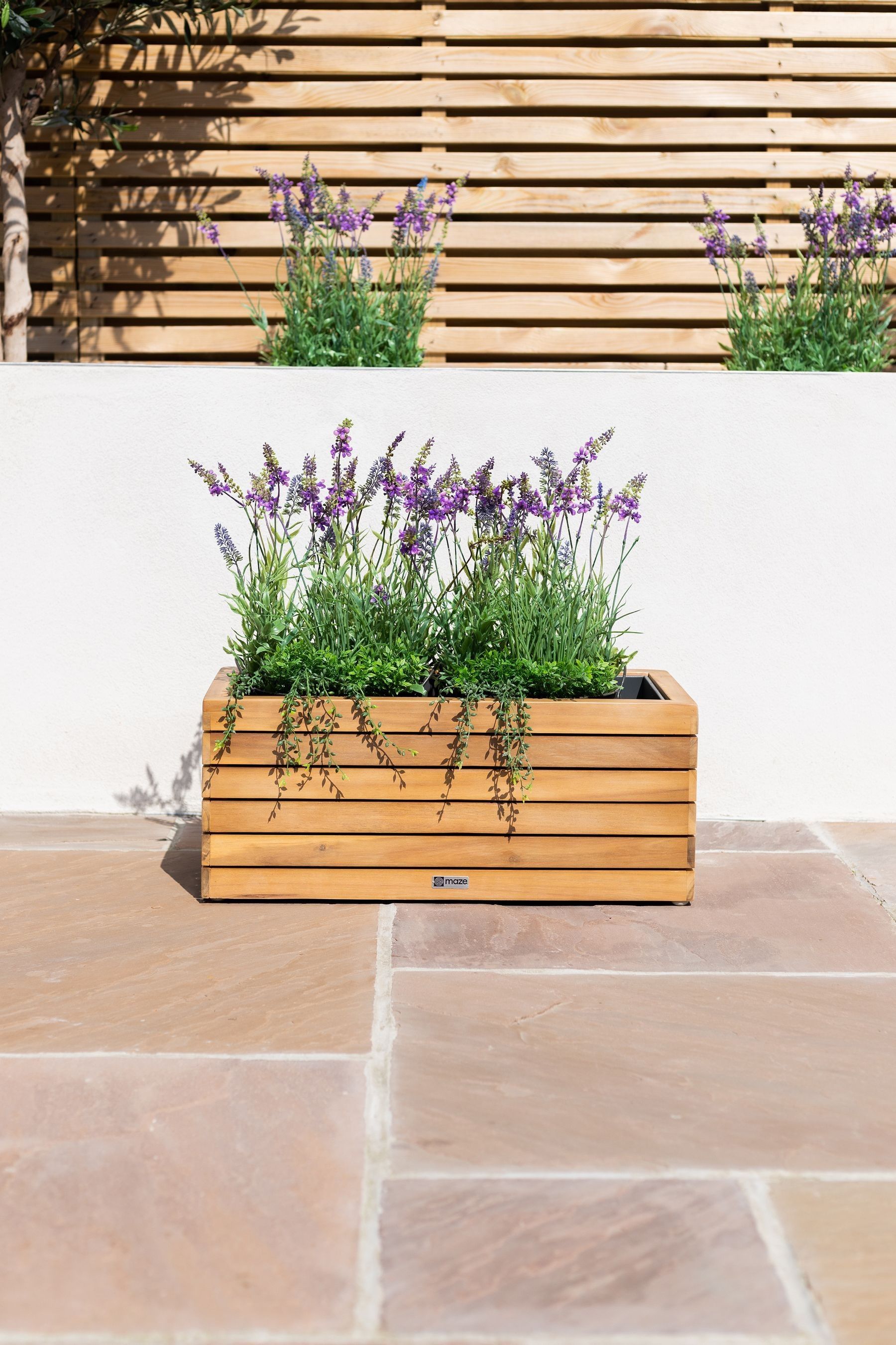 Buy Maze Acacia Wood Garden Bali Small Planter from the Next UK online shop