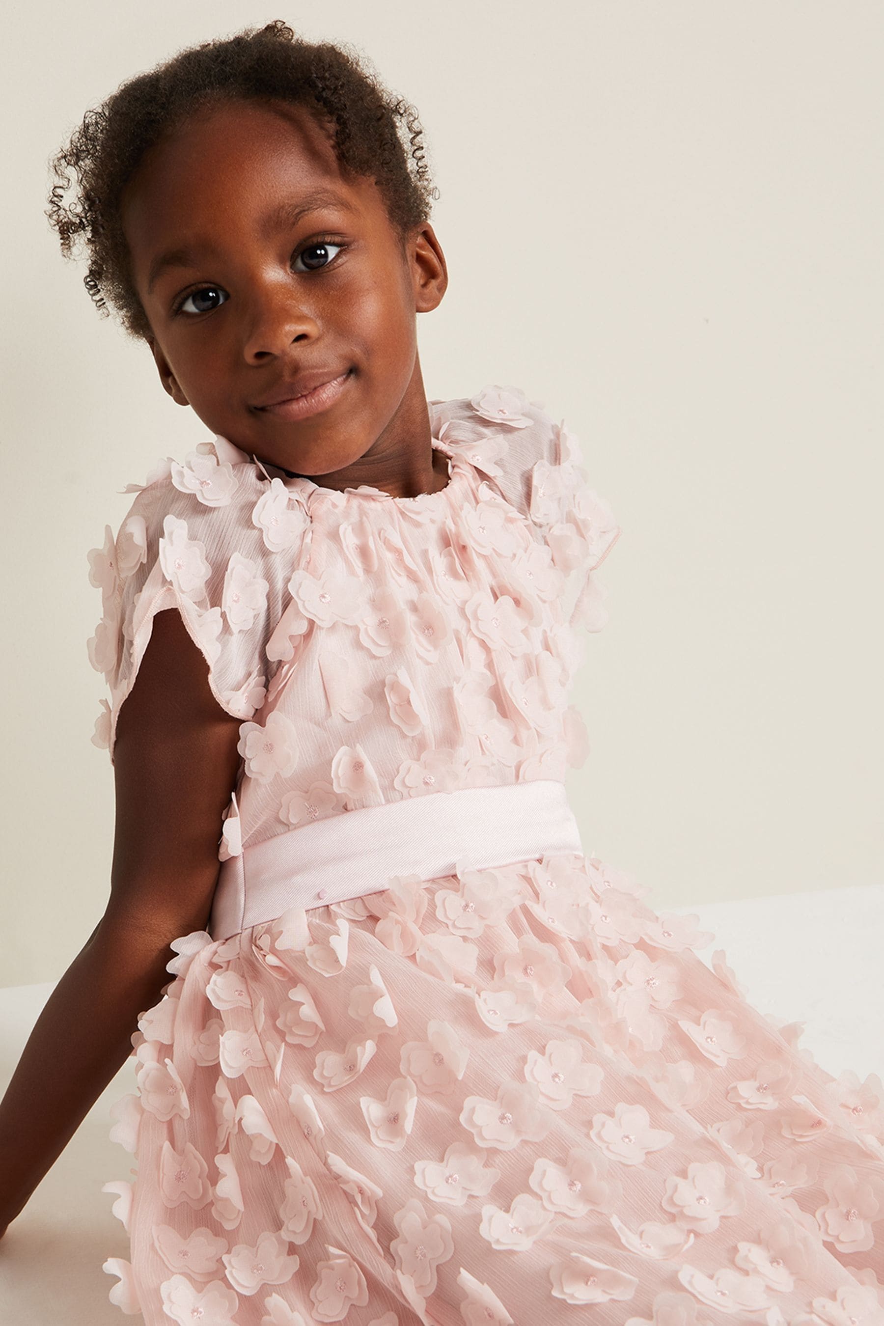 Buy Phase Eight Pink Alice Flower Fit and Flare Dress from the Next UK ...