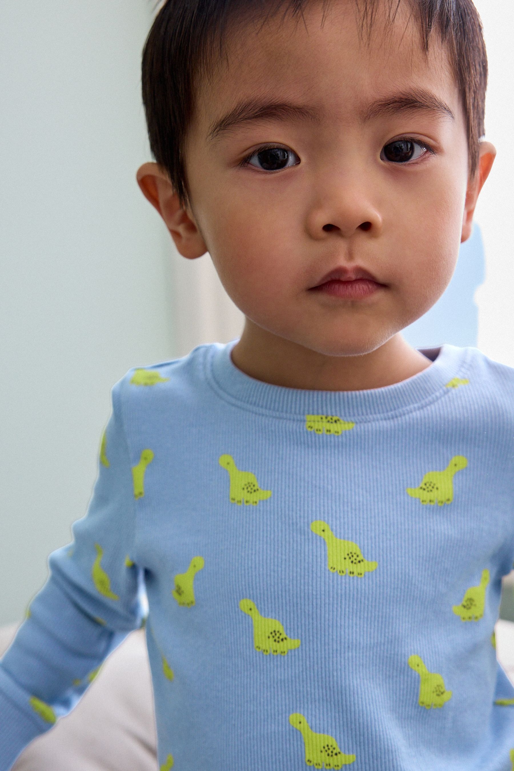 Buy Bright Dinosaurs Long Sleeve 3 Pack Pyjamas Set (9mths-8yrs) from ...