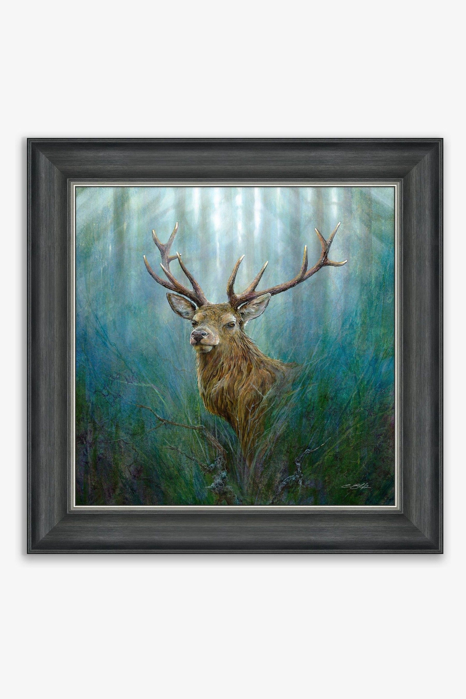 Buy Artko Grey Red Deer Stag by Chris Sharp Framed Art from the Next UK ...