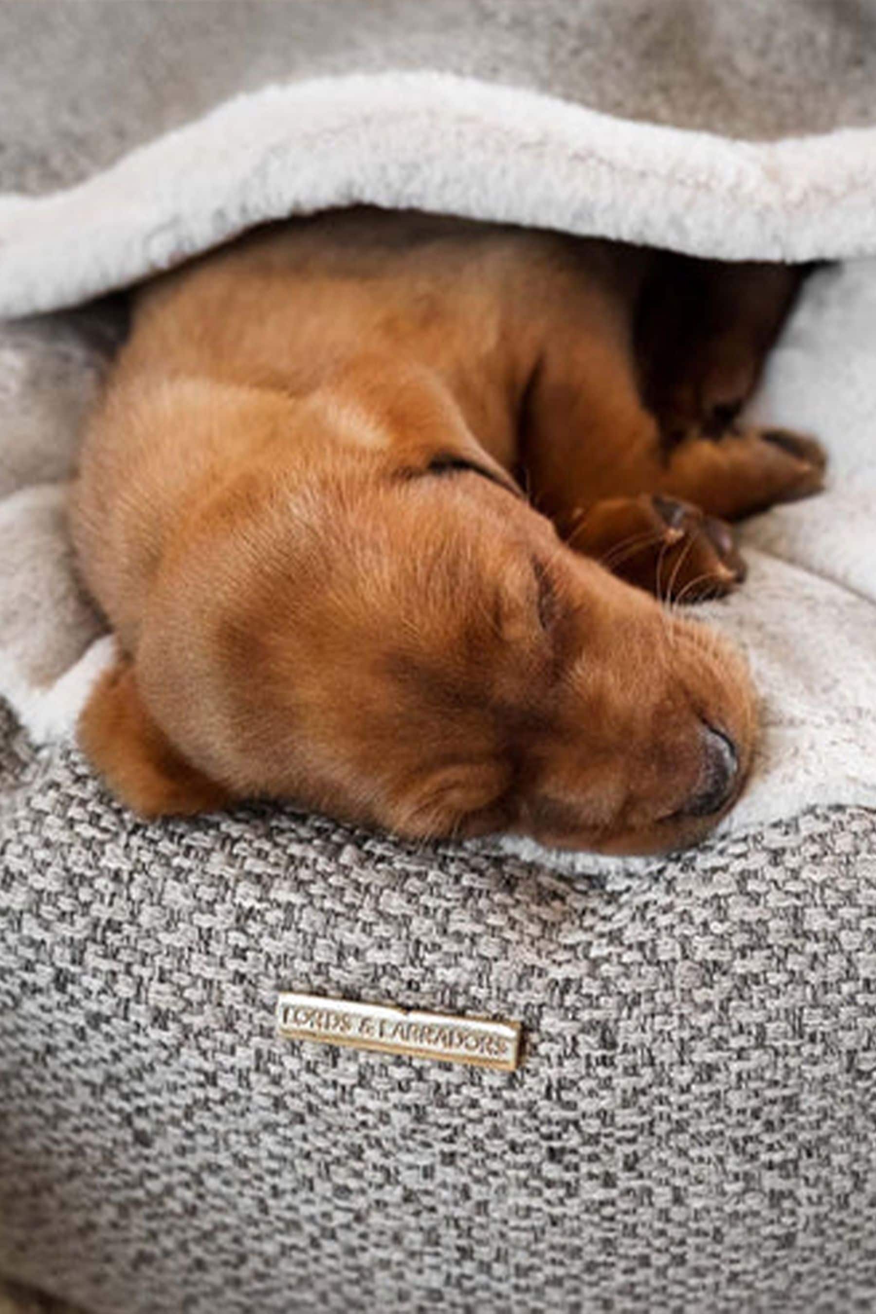 Buy Lords and Labradors Light Grey Essentials Herdwick Dog Den Bed from ...