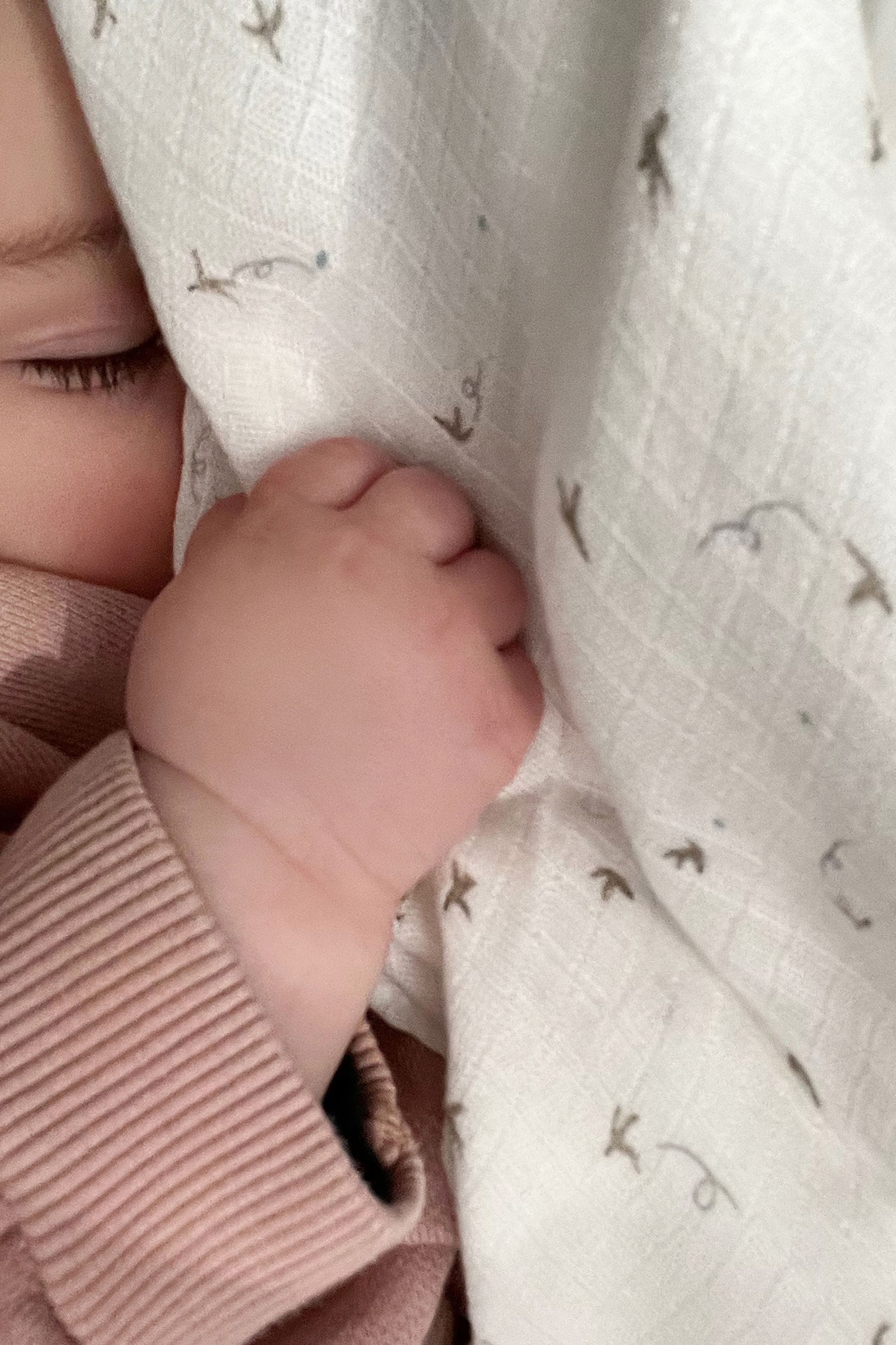 Buy aden + anais essentials Silky Soft Muslin Blankets 2 Pack Healing ...