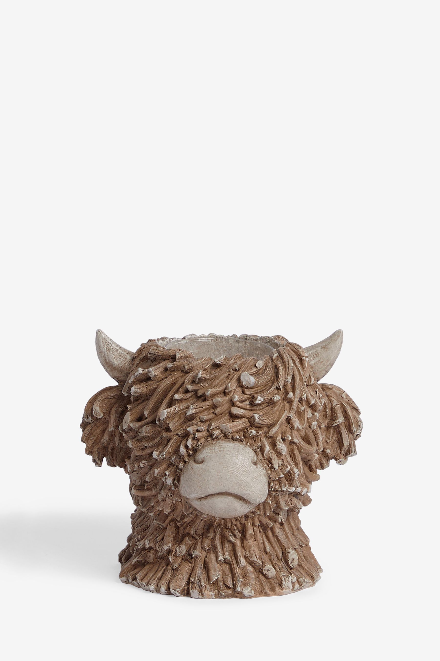 Buy Brown Hamish The Highland Cow Flower Vase from the Next UK online shop