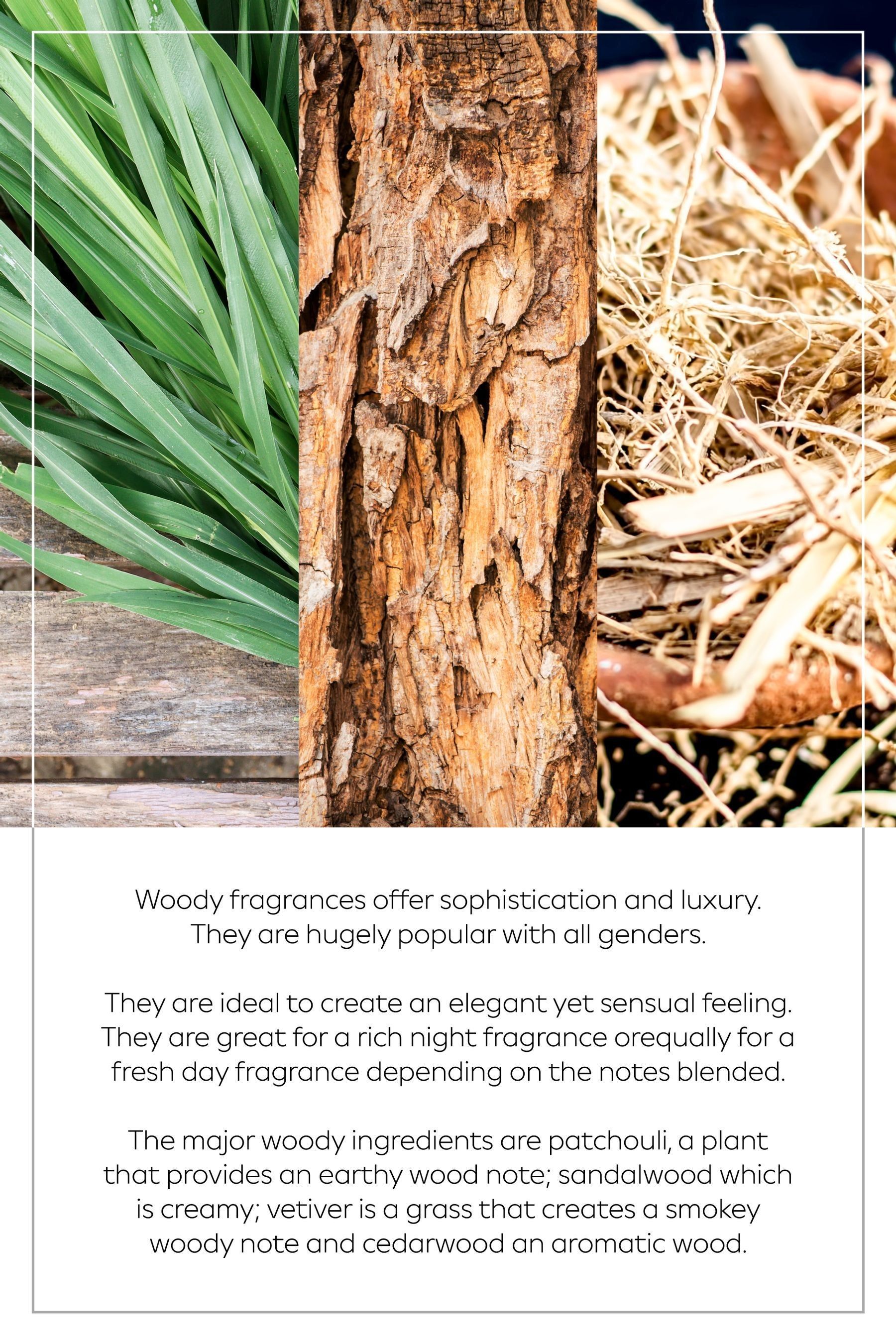 Buy Signature 30ml Eau De Parfum from the Next UK online shop