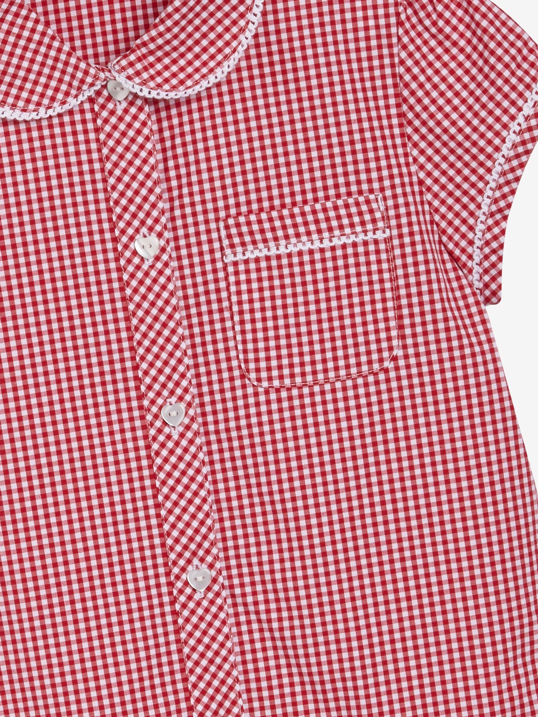 Buy Red Cotton Rich Drop Waist Gingham School Dress (3-14yrs) from the ...