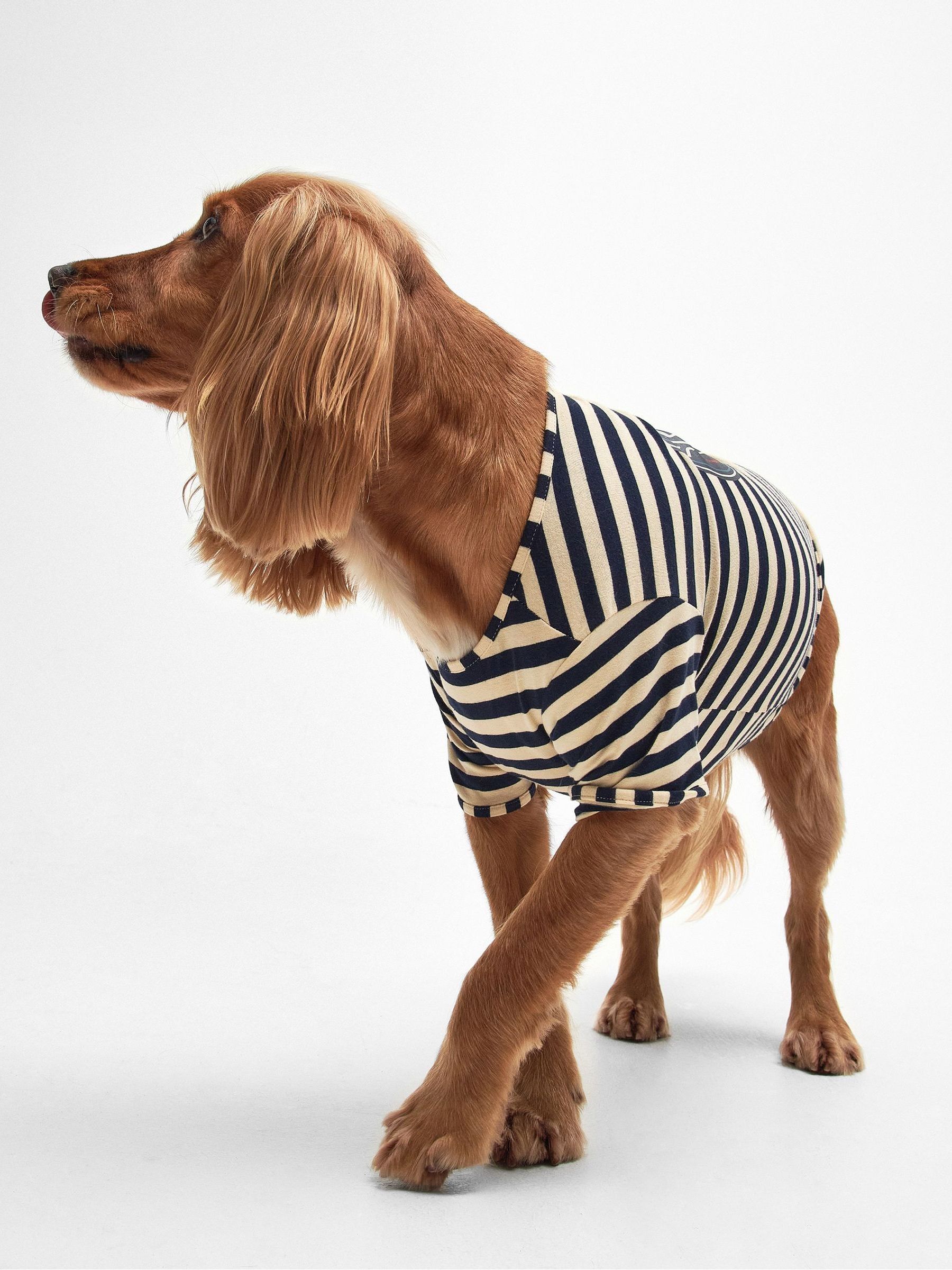 Kaufe Sie Barbour 100 Cotton Stripe Dog Jumper bei Next Deutschland