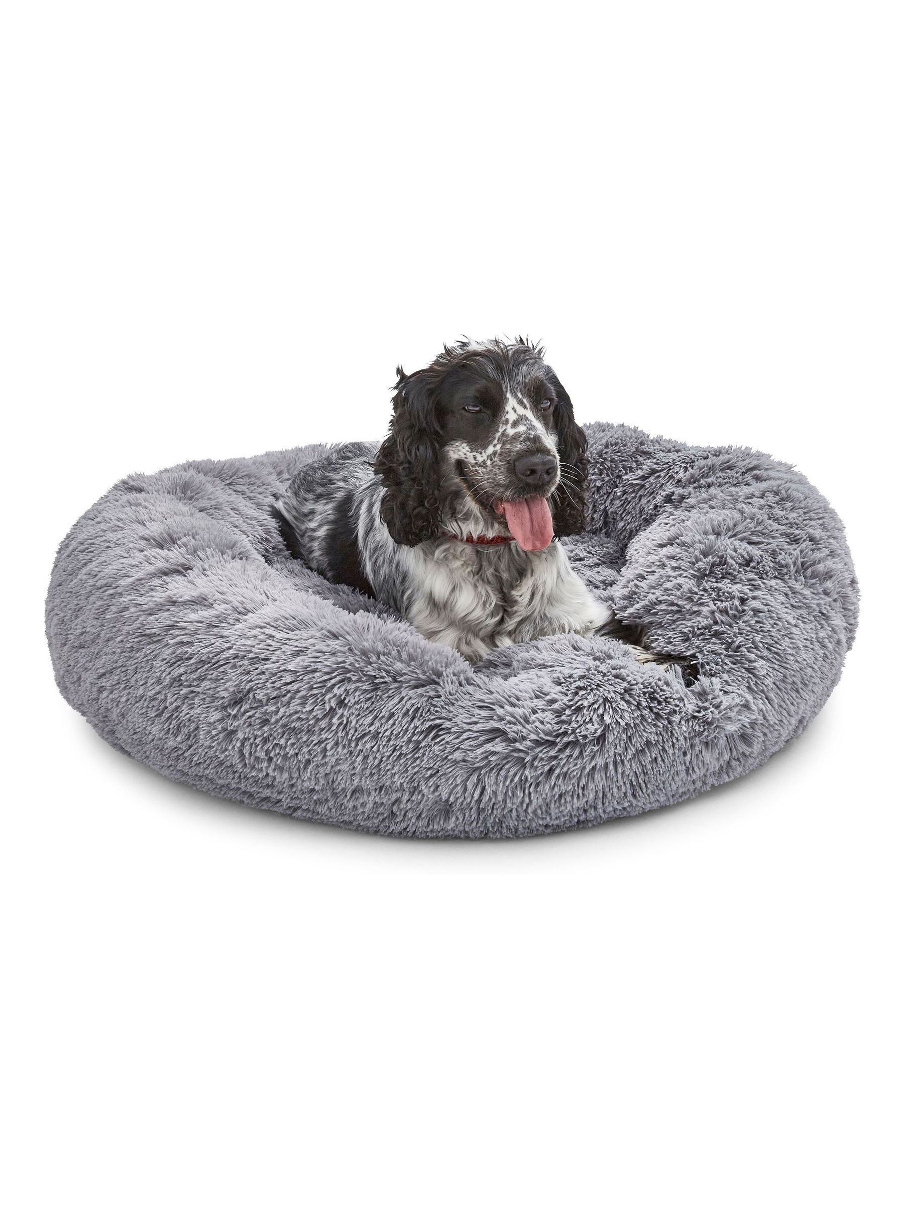 Next dog bed store