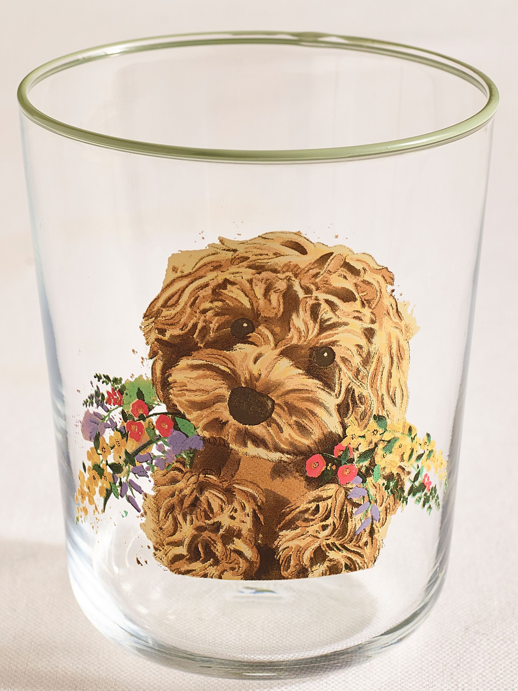 Buy Sage Green Charlie the Cockapoo Tumbler Glasses Set Of 4 from the ...