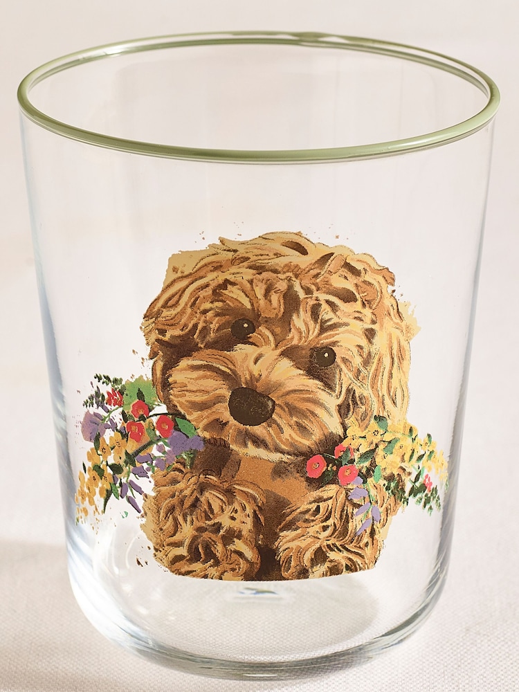 Buy Sage Green Charlie the Cockapoo Tumbler Glasses Set Of 4 from Next ...