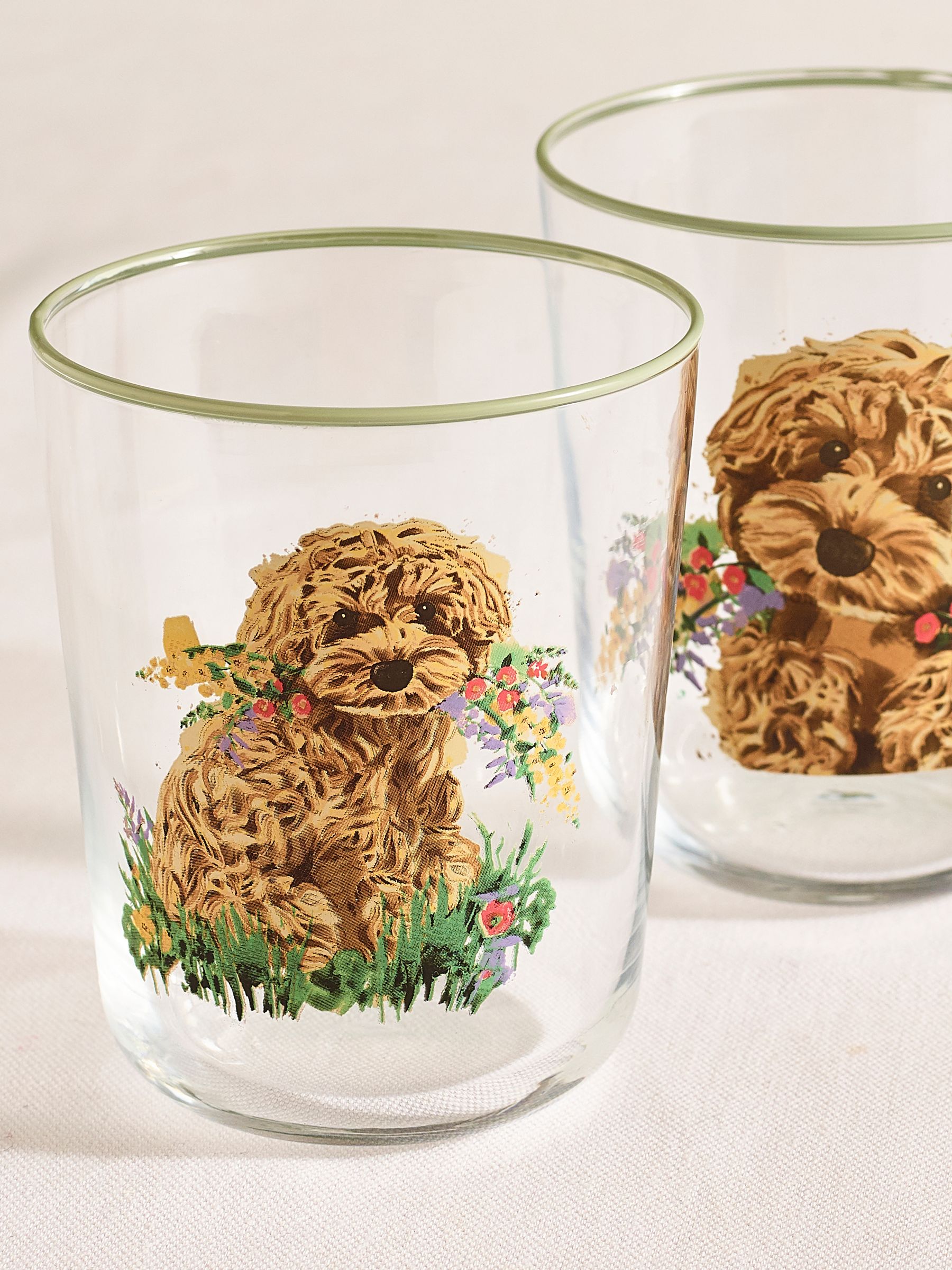 Buy Sage Green Charlie the Cockapoo Tumbler Glasses Set Of 4 from the ...