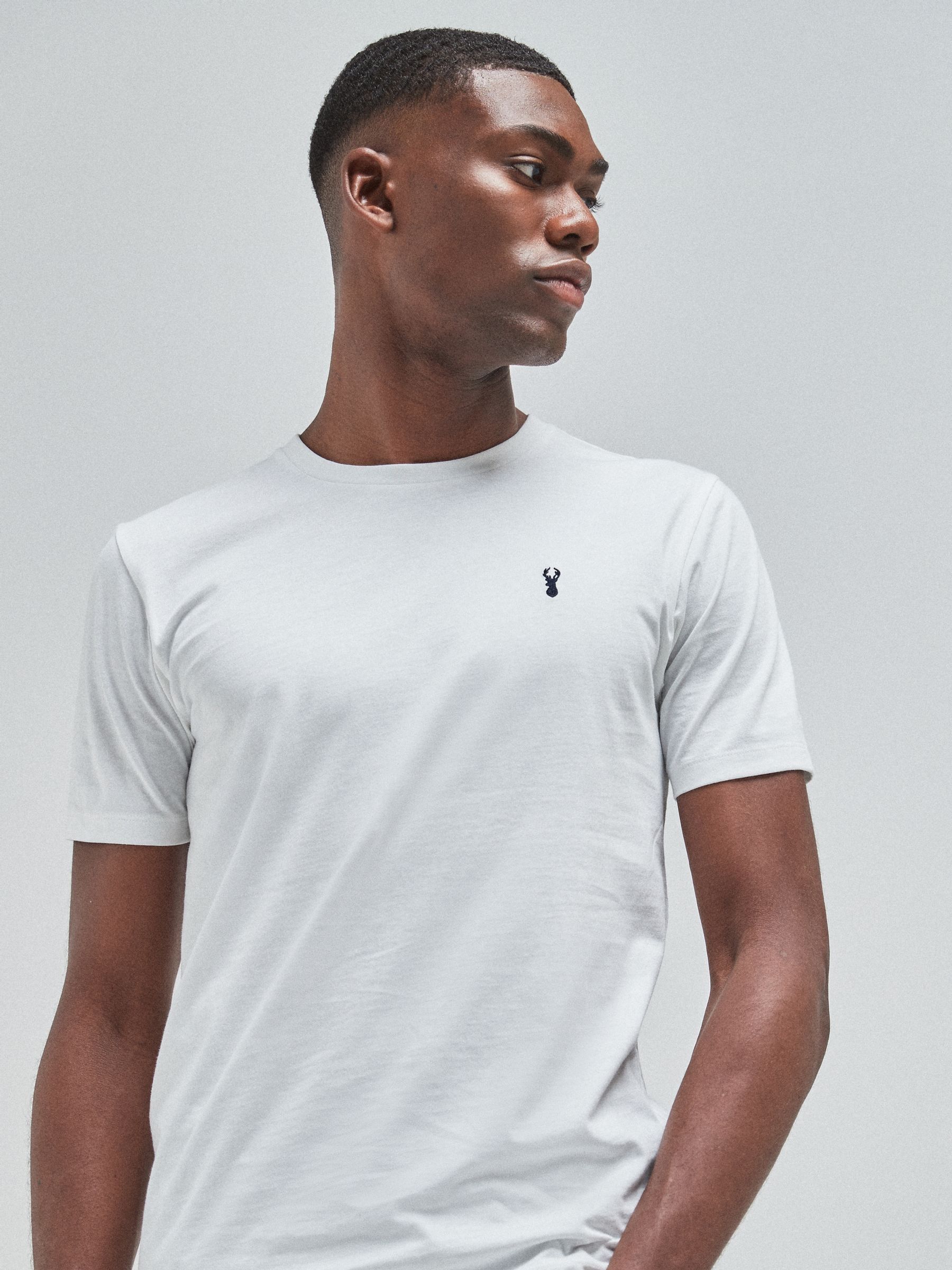 Buy White Regular Fit Stag T-Shirt from Next Ireland