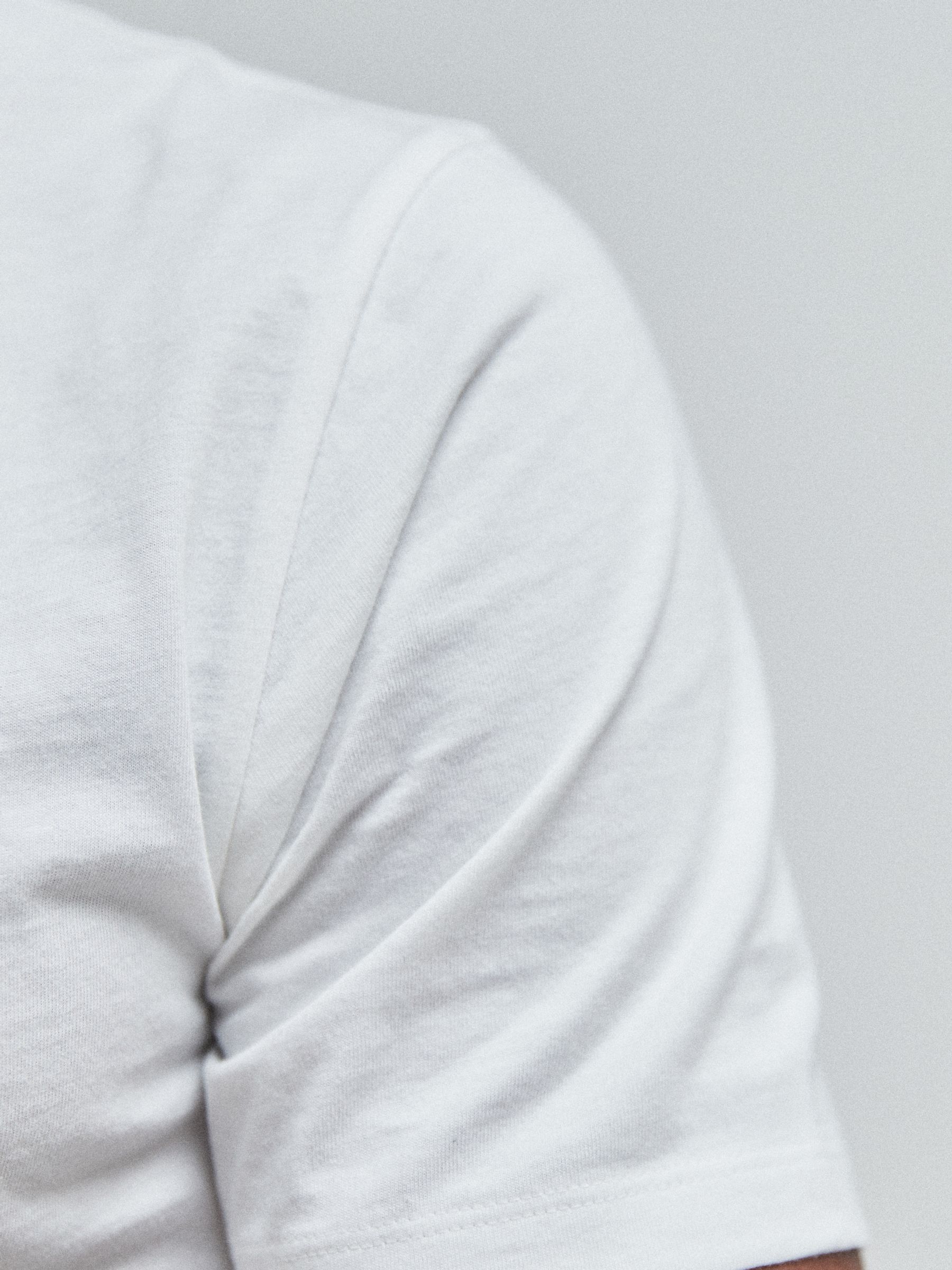 Buy White Regular Fit Stag T-Shirt from Next Ireland