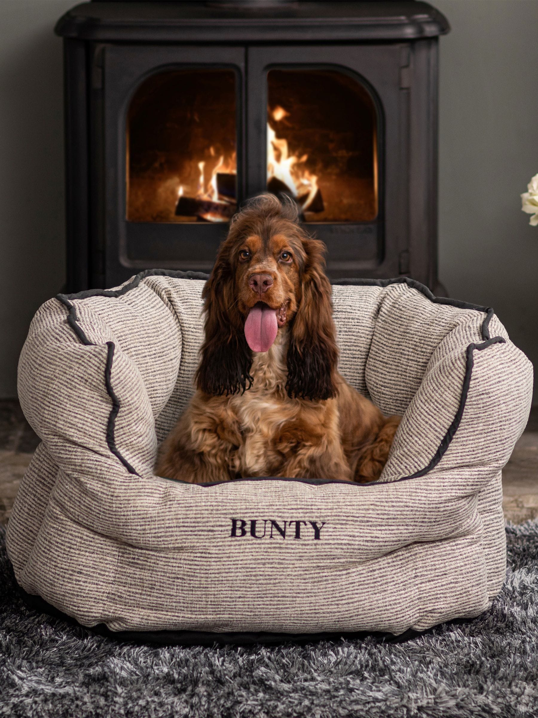 Buy Bunty Cream Regal High Sided Dog Bed from the Next UK online shop