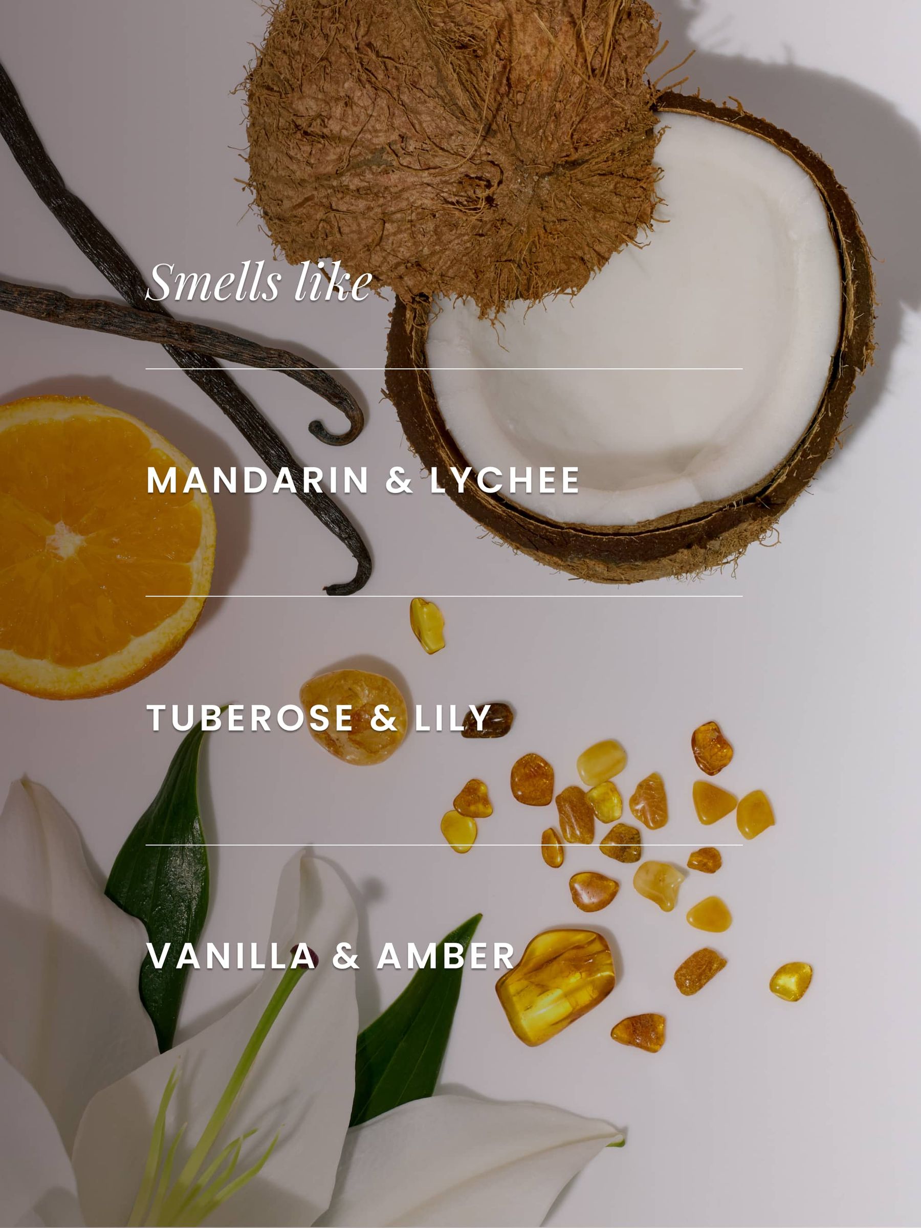 Buy Just Pink Intense 100ml Perfume from the Next UK online shop