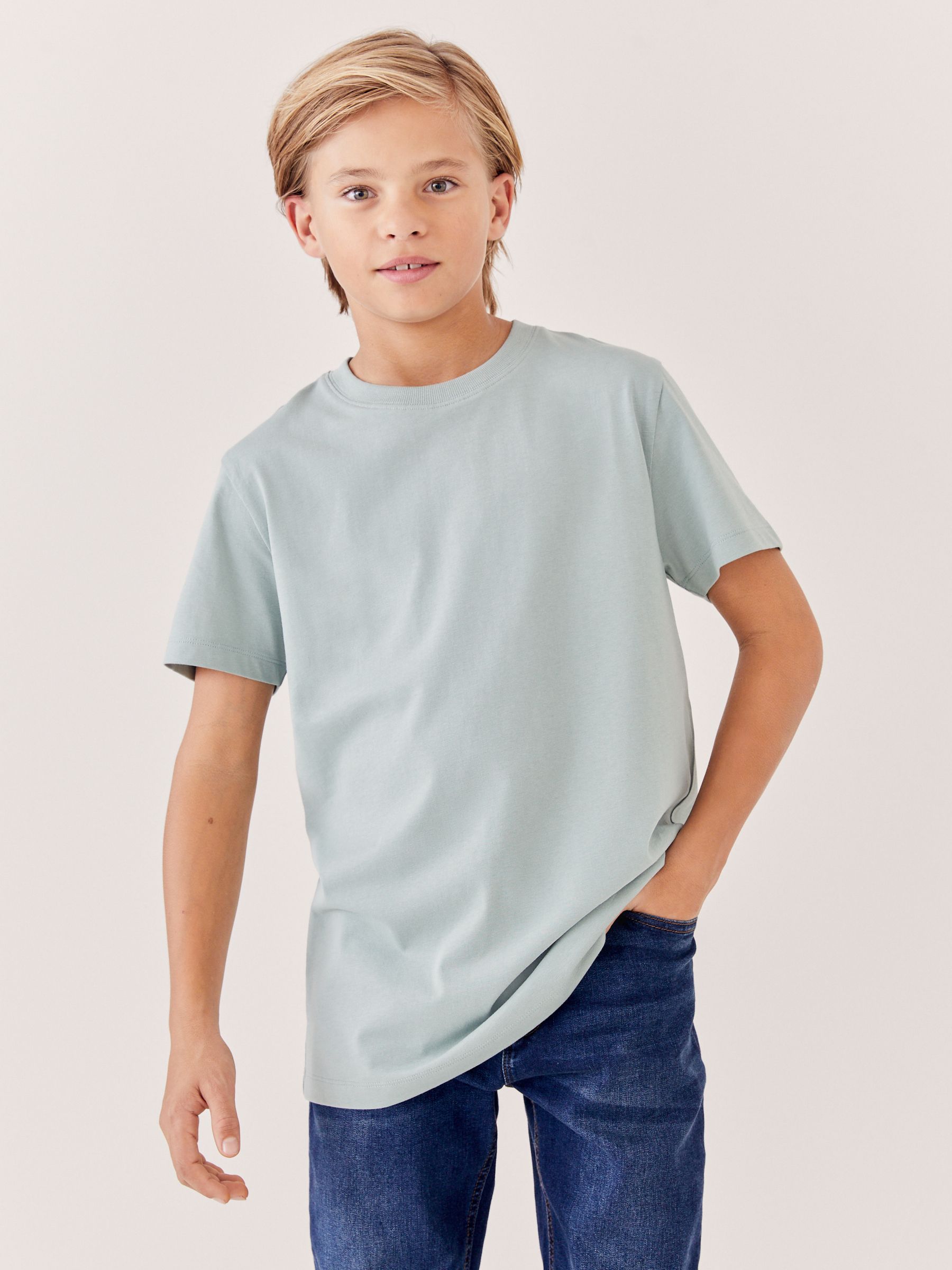 Buy Green Mineral Regular Fit Short Sleeve T-Shirt (3-16yrs) from Next ...