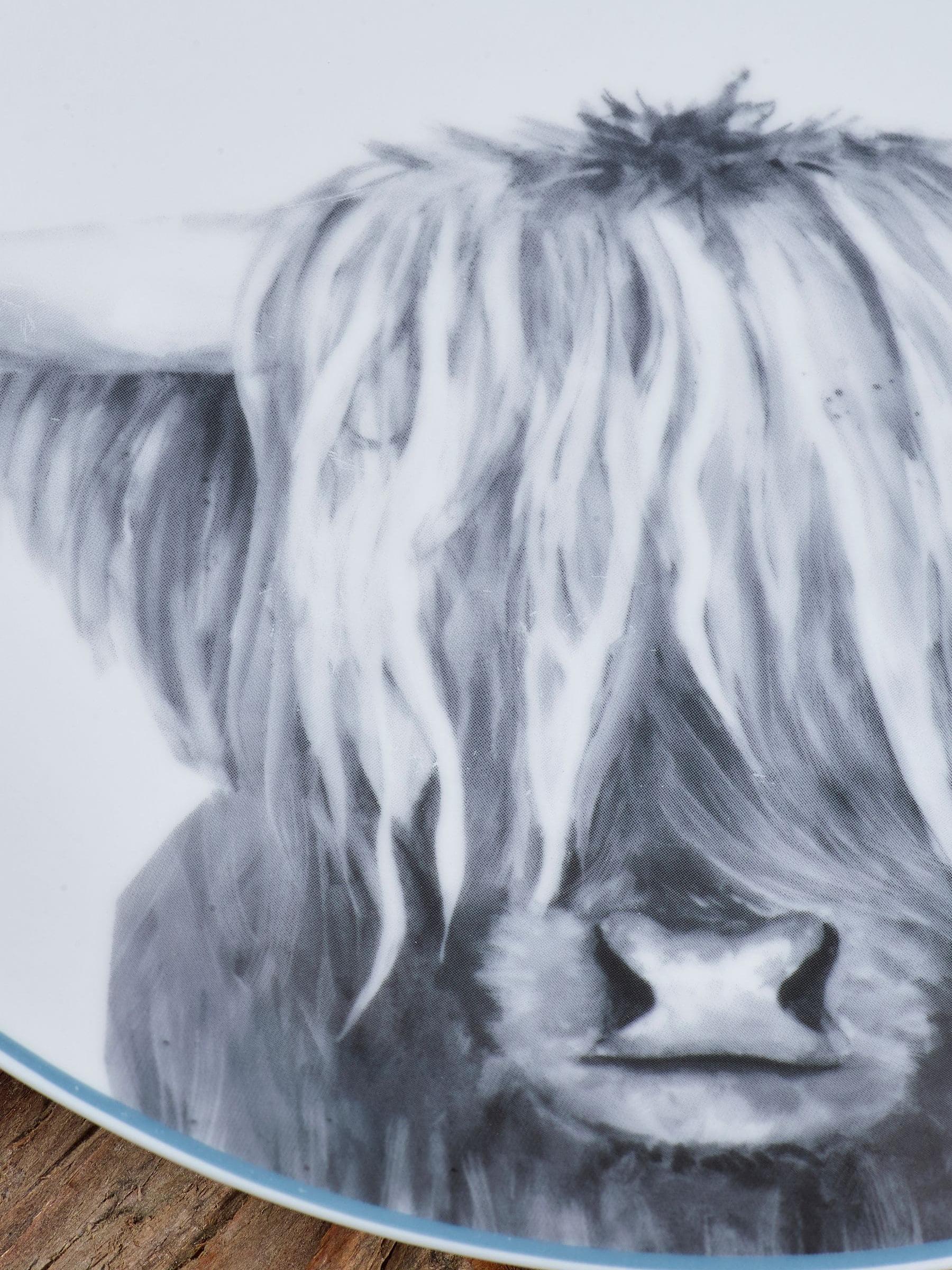 Buy Set of 4 Grey Hamish Dinner Plates from the Next UK online shop