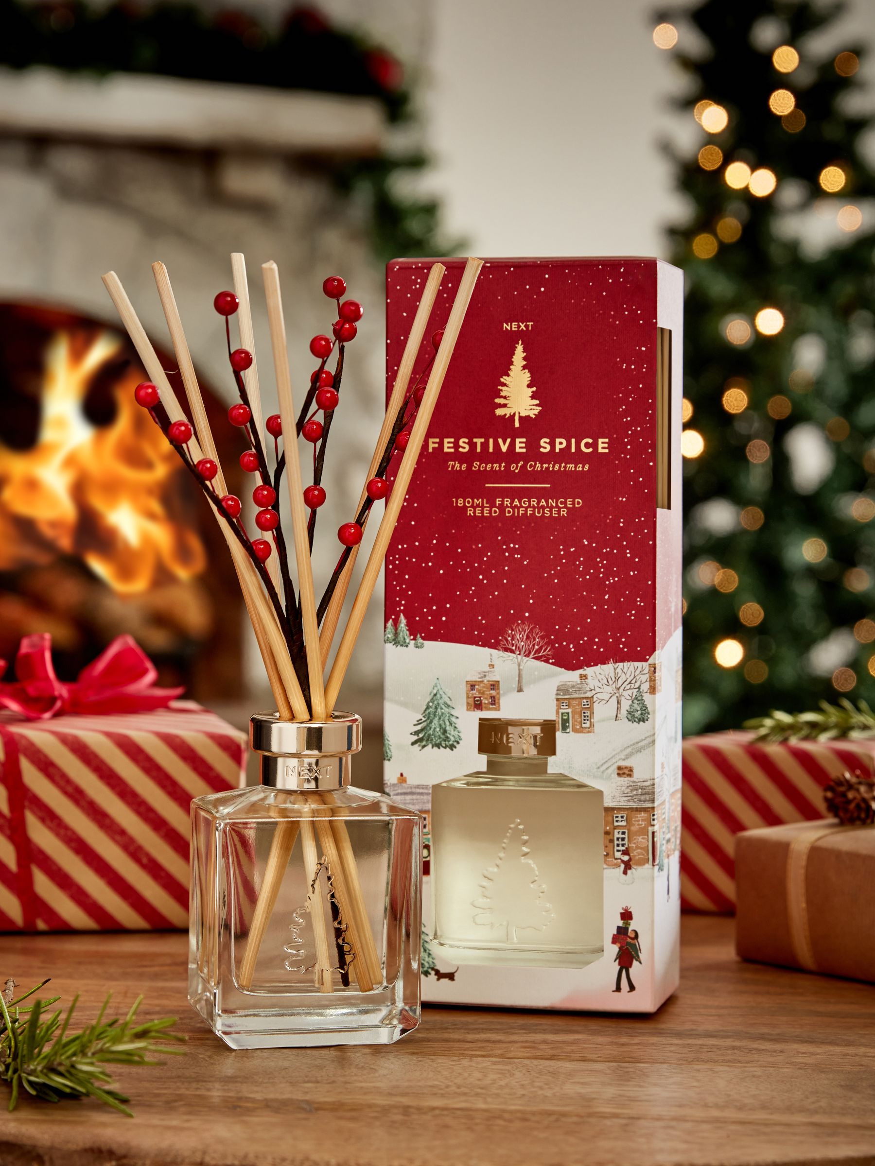 Buy Festive Spice Fragranced Christmas 180ml Diffuser from the Next UK ...
