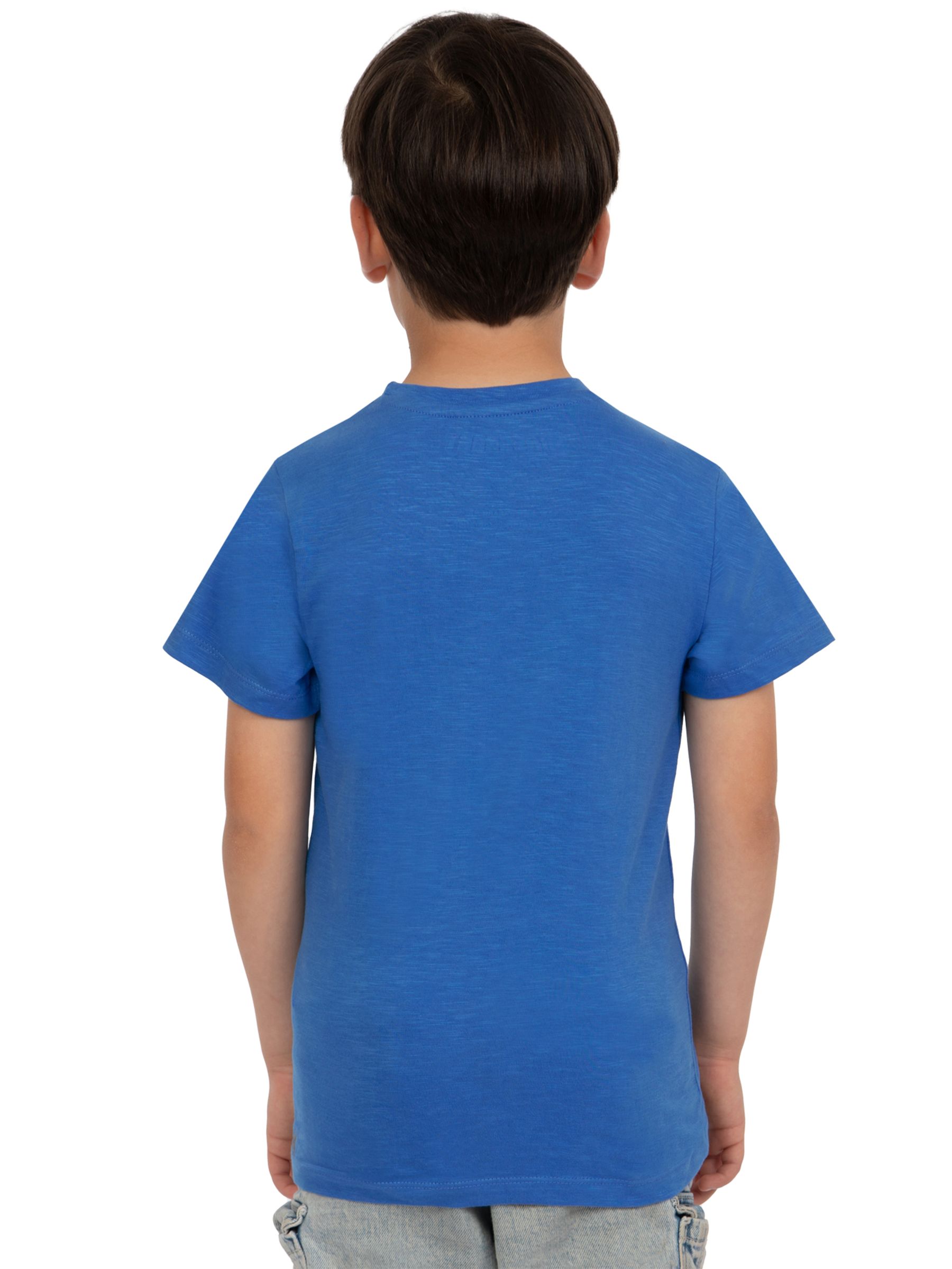 Buy Character Blue 100% Cotton Minecraft T-Shirt from the Next UK ...