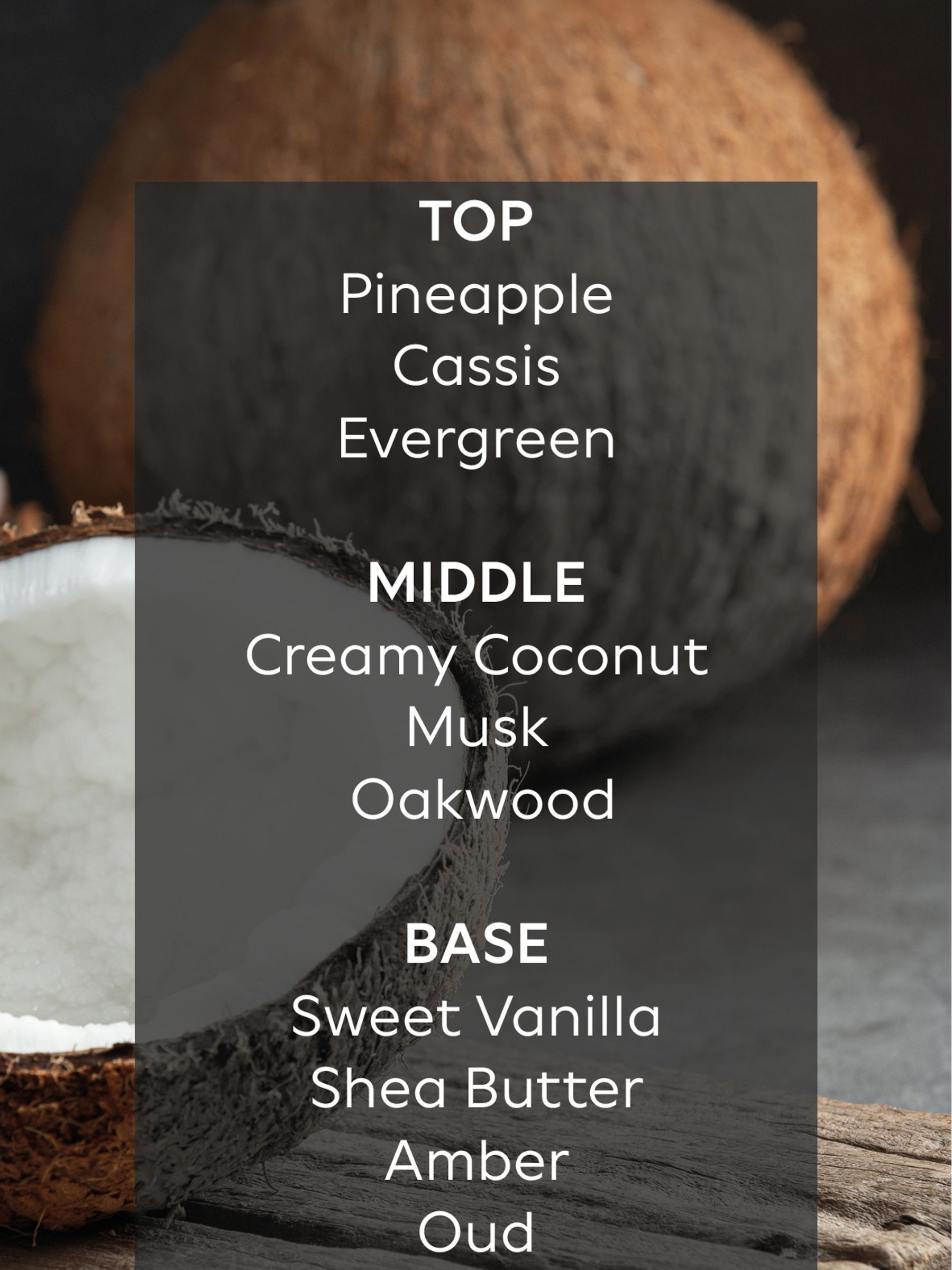 Buy Noir Cassis & Coconut Collection Luxe New York Diffuser from the ...