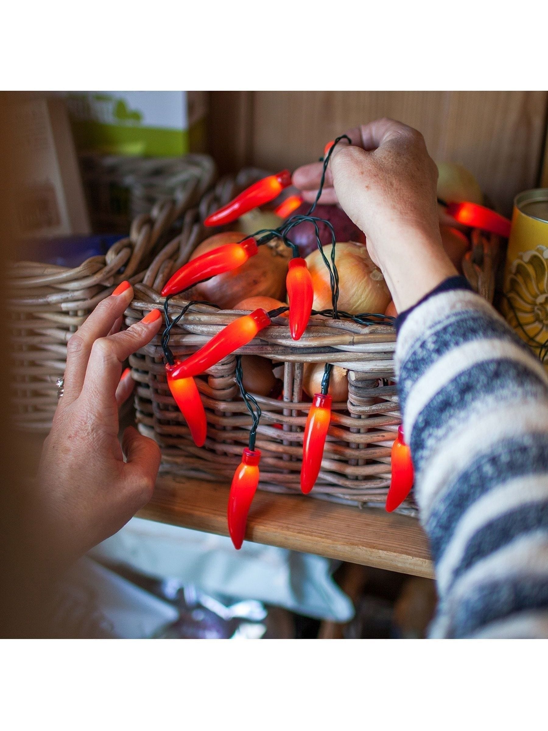 Chilli lights store