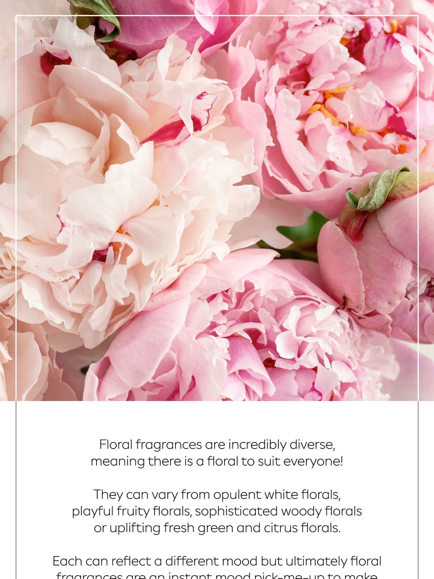 Buy Paradise 30ml Perfume from the Next UK online shop