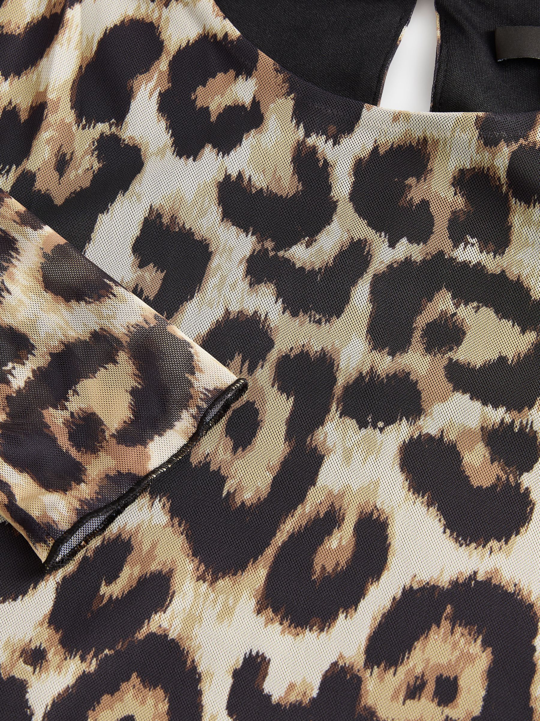 Buy Leopard Print Long Sleeve Drop Waist Mesh Maxi Dress from the Next ...