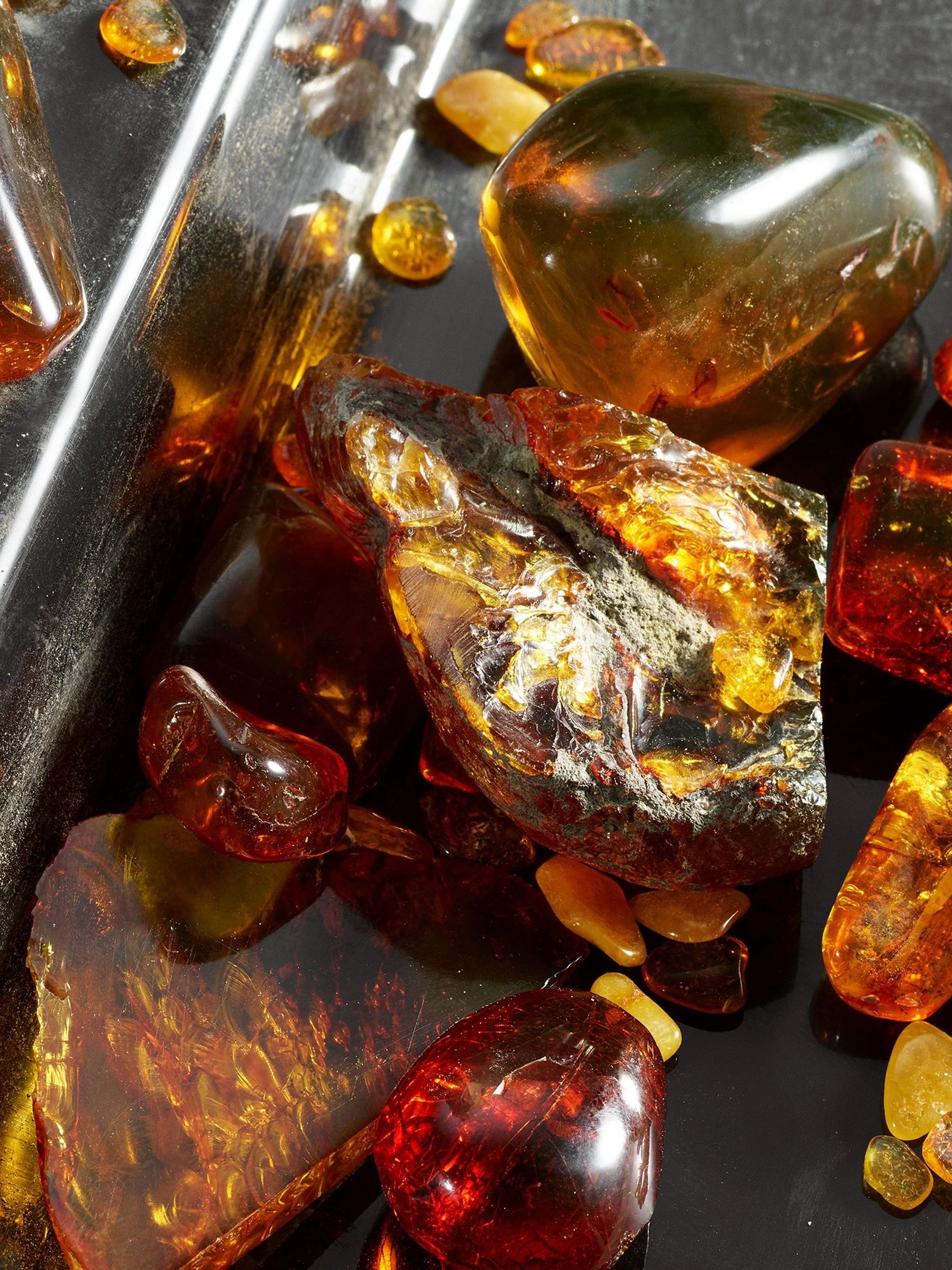 Buy Dolce & Gabbana Q Intense Eau De Parfum 30ml from the Next UK ...