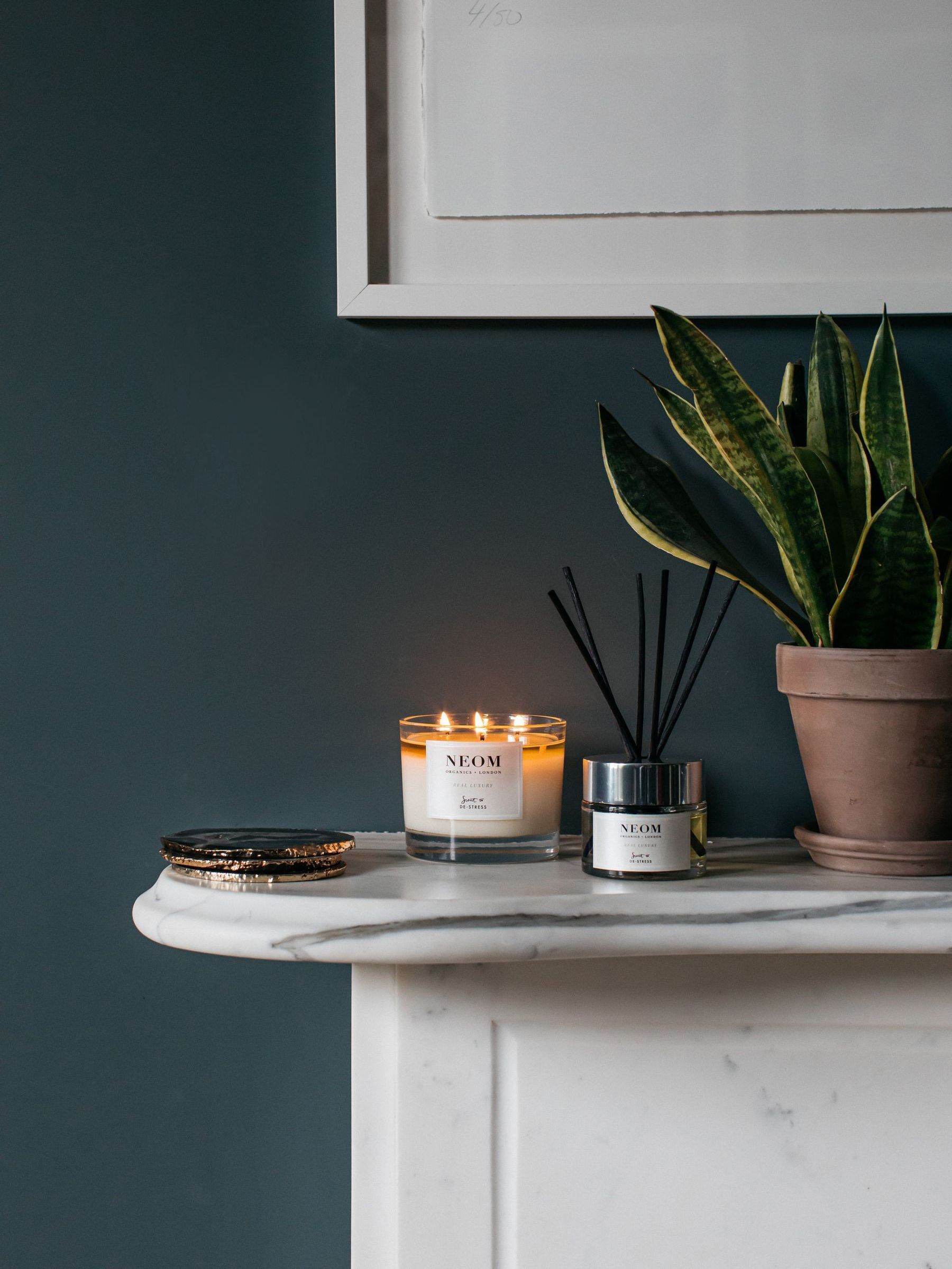 Buy NEOM Real Luxury Reed Diffuser Refill 100ml from the Next UK online ...