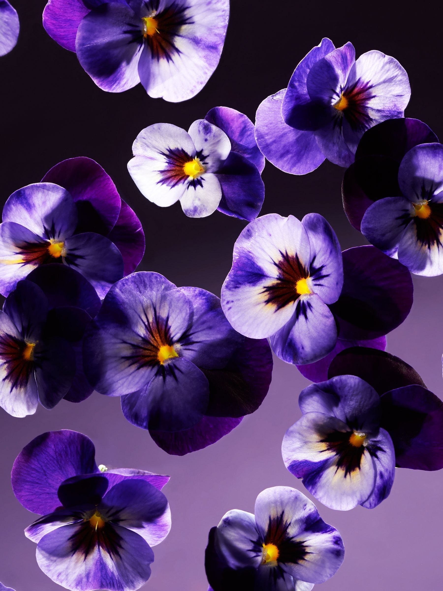 Buy Rituals Smooth Violet Hand Wash 300ml from the Next UK online shop