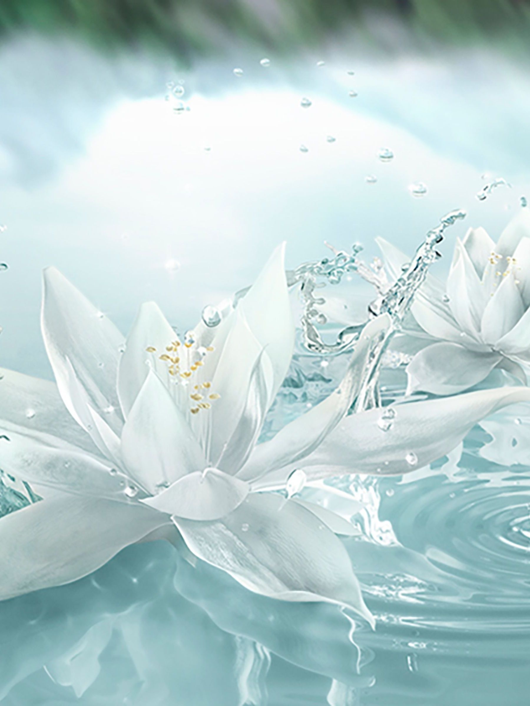 Buy Estée Lauder Radiant Mirage Eau de Parfum 4ml from the Next UK ...