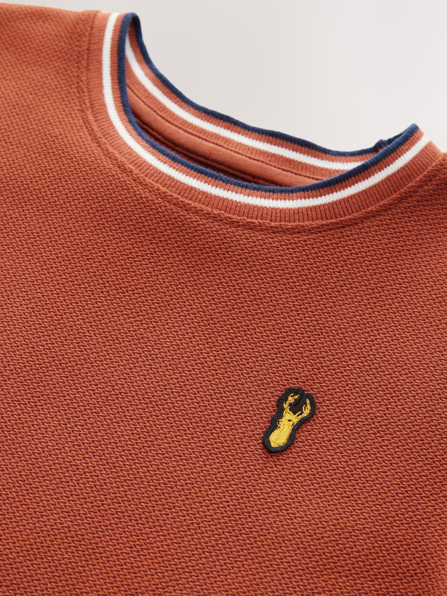 Buy Rust Brown Short Sleeve Textured T-Shirt (3-16yrs) from the Next UK ...