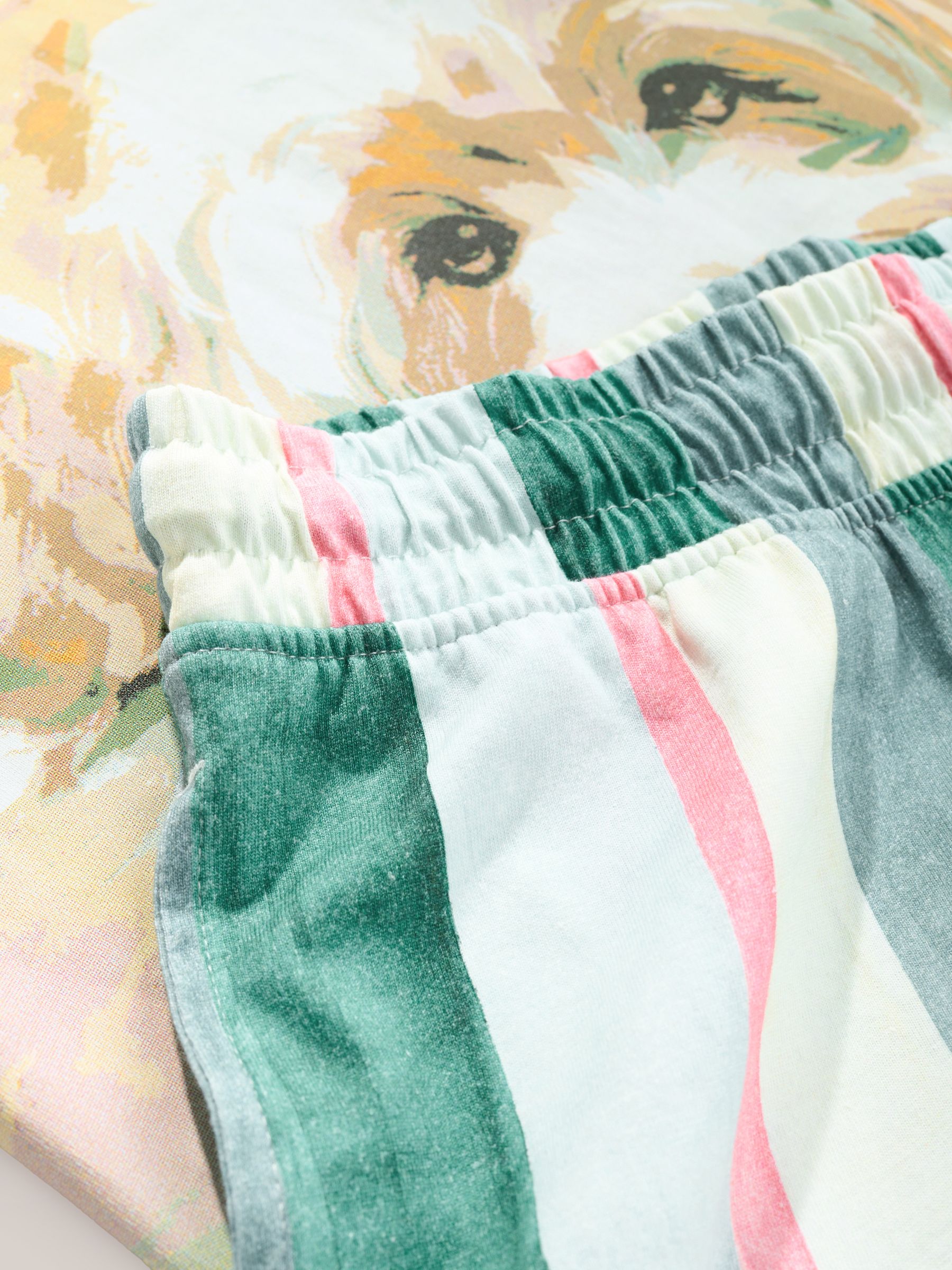 Buy Blue Charlie The Cockapoo 100% Cotton Short Set Pyjamas from the ...