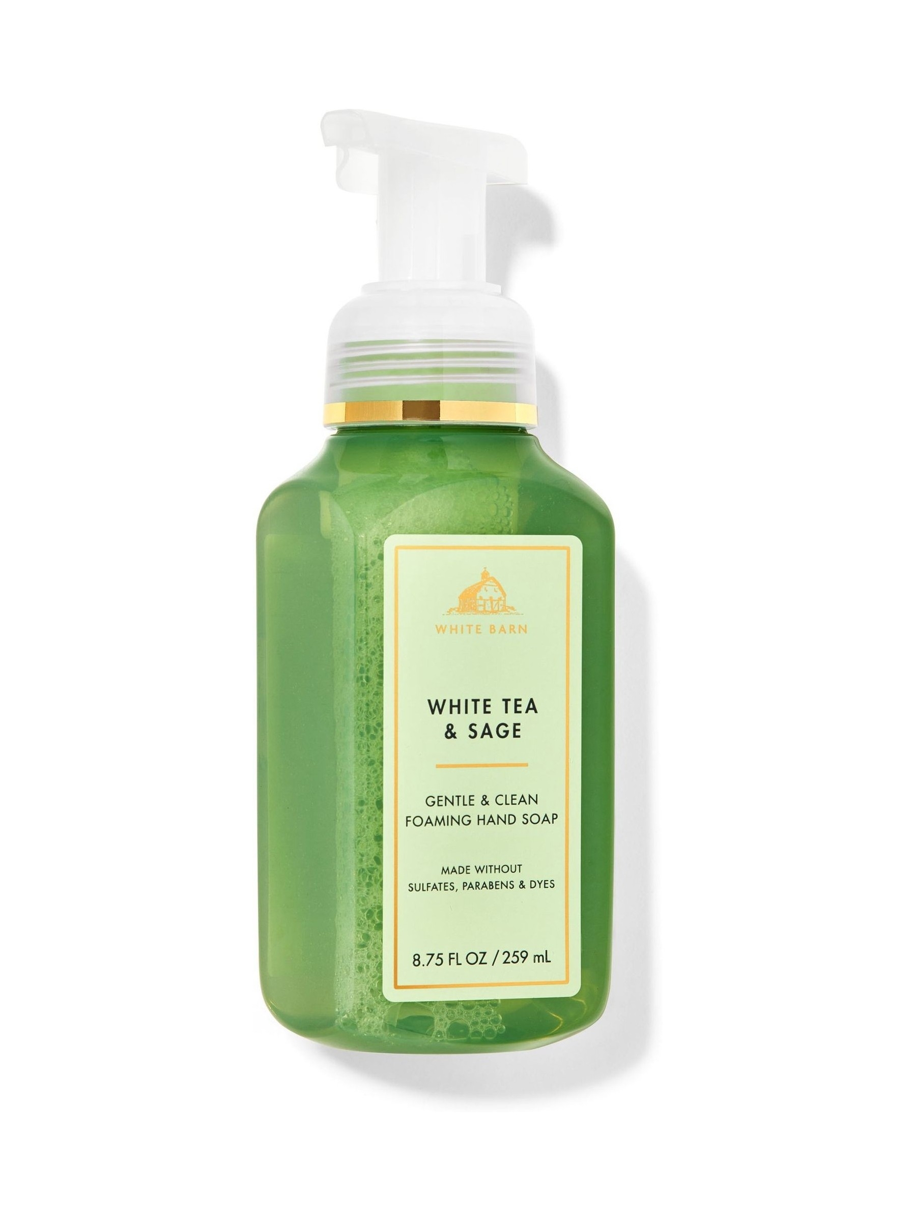 Buy Bath & Body Works Gentle and Clean Foaming Hand Soap from the Next ...