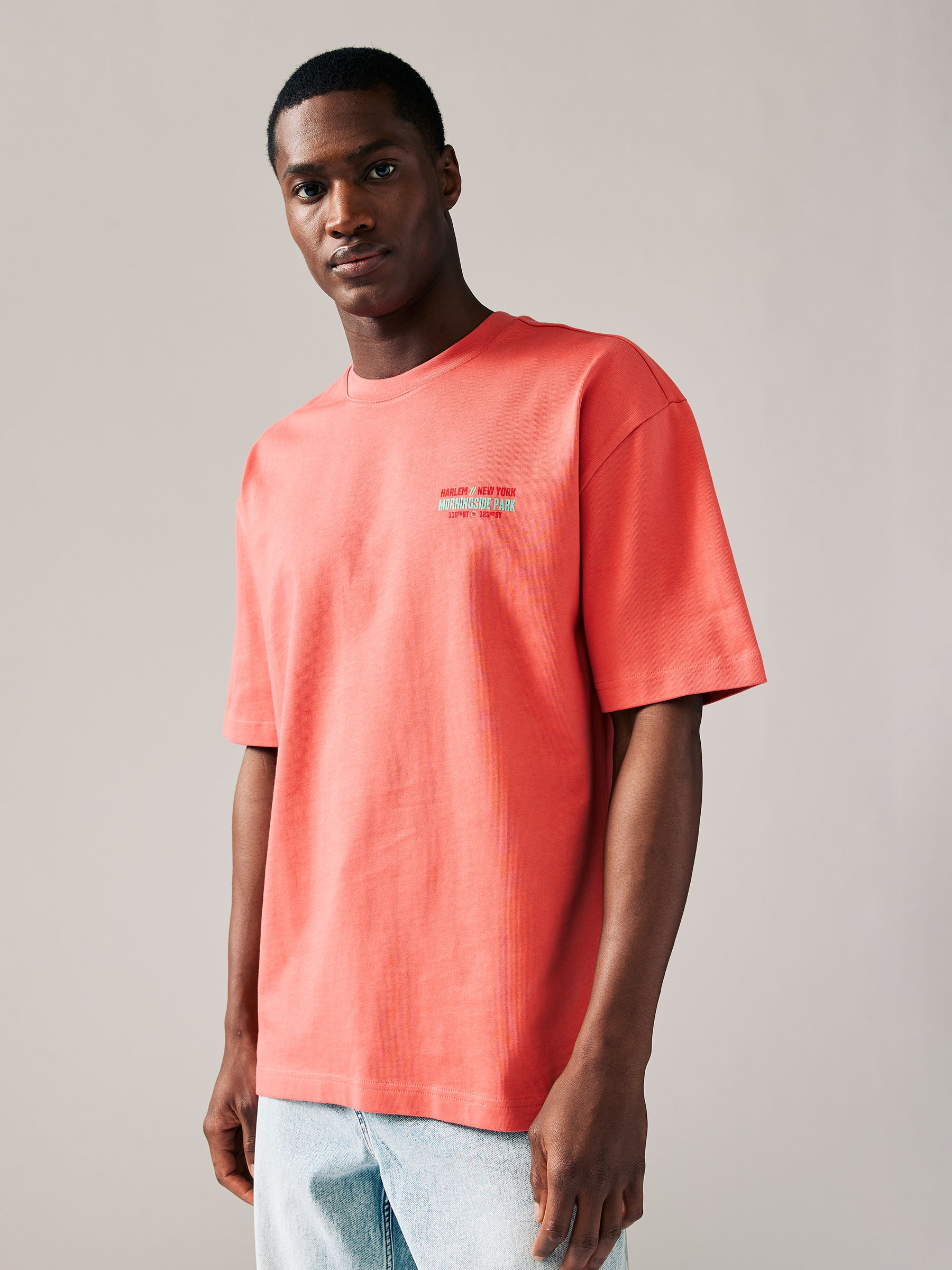 Buy Pink Relaxed Fit Graphic Print Heavy Weight T-Shirt from the Next ...