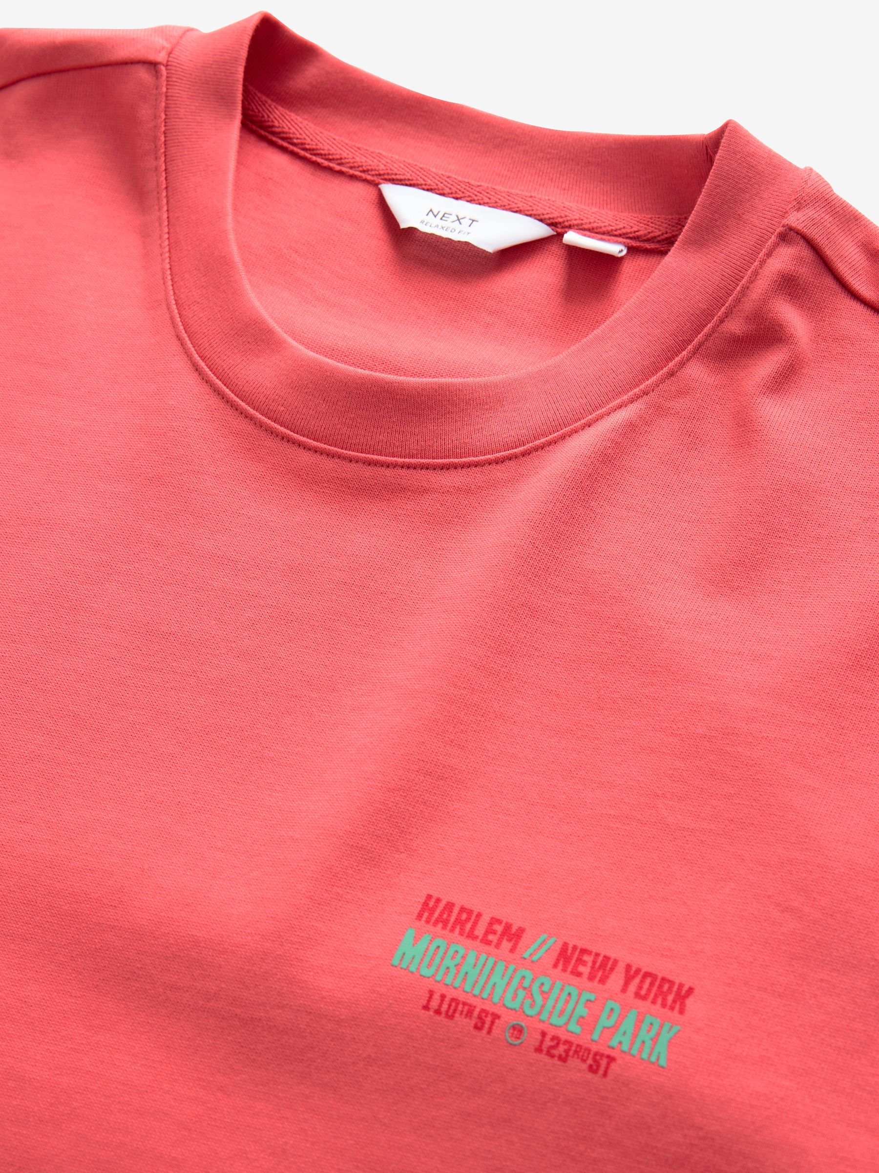 Buy Pink Relaxed Fit Graphic Print Heavy Weight T-Shirt from the Next ...