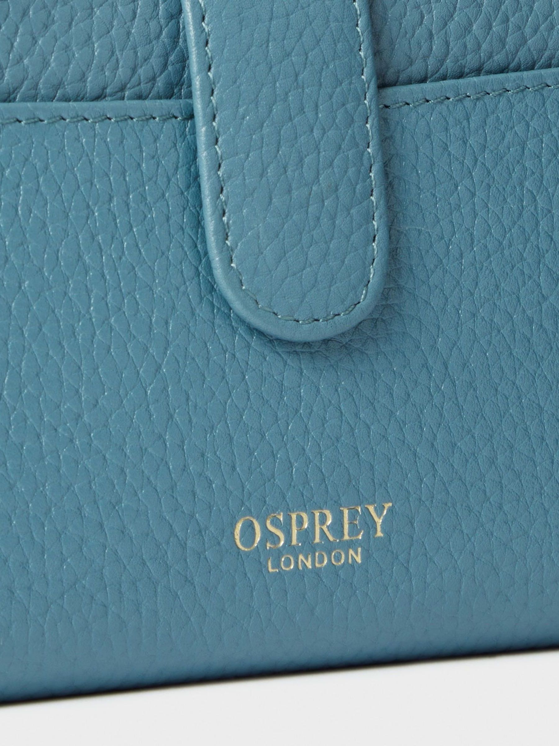 Buy Osprey London Blue The Savanna Leather Matinee Purse from the Next ...