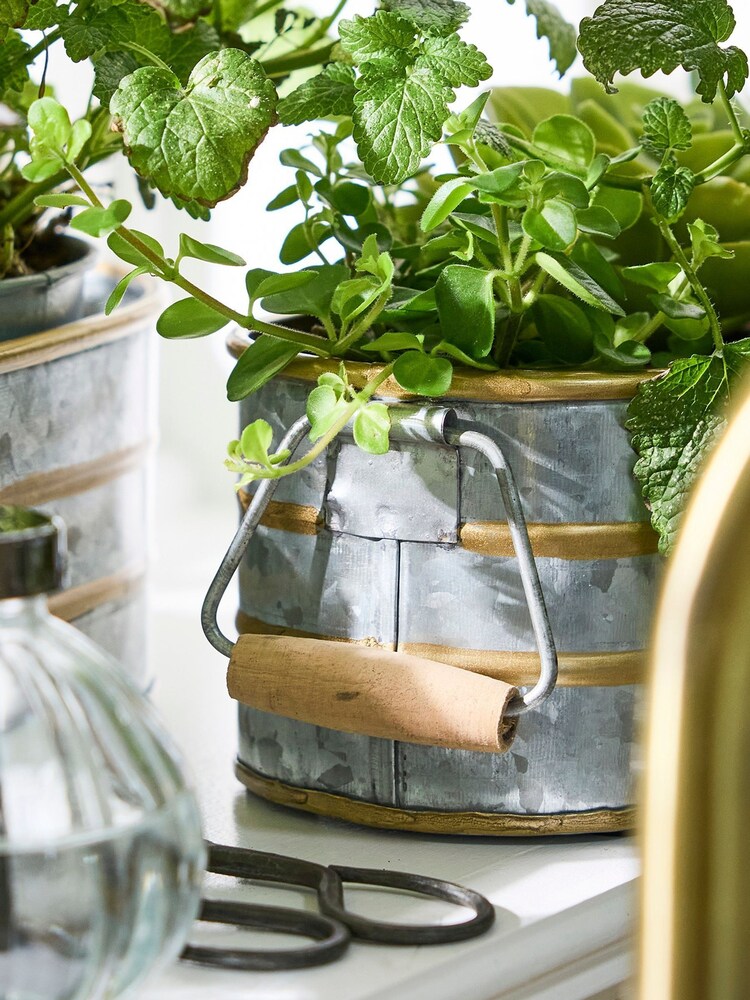 Buy Dibor Set of 3 Silver Gold Banded Trough Planters from the Next UK ...