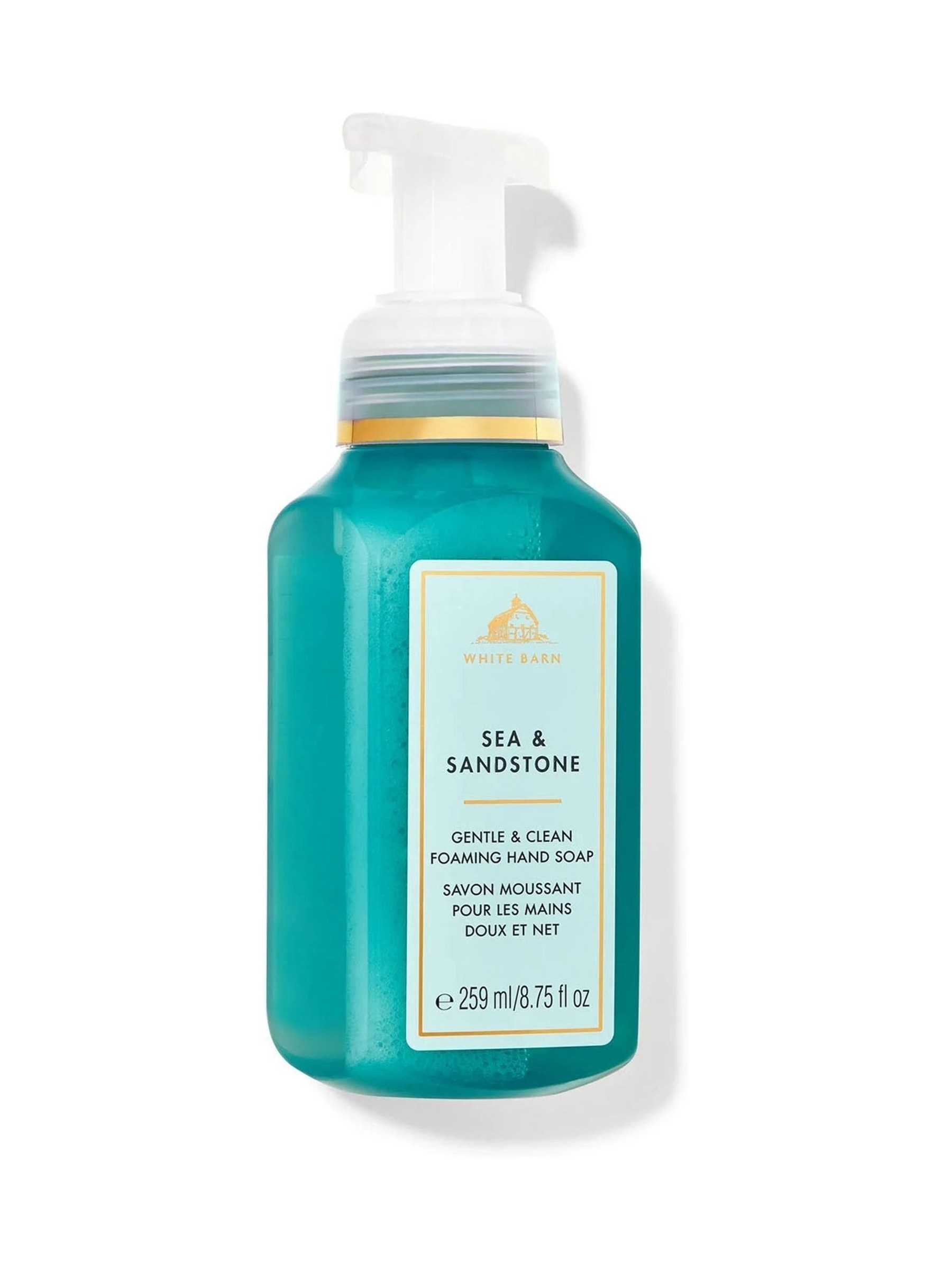 Buy Bath & Body Works Gentle and Clean Foaming Hand Soap from the Next ...