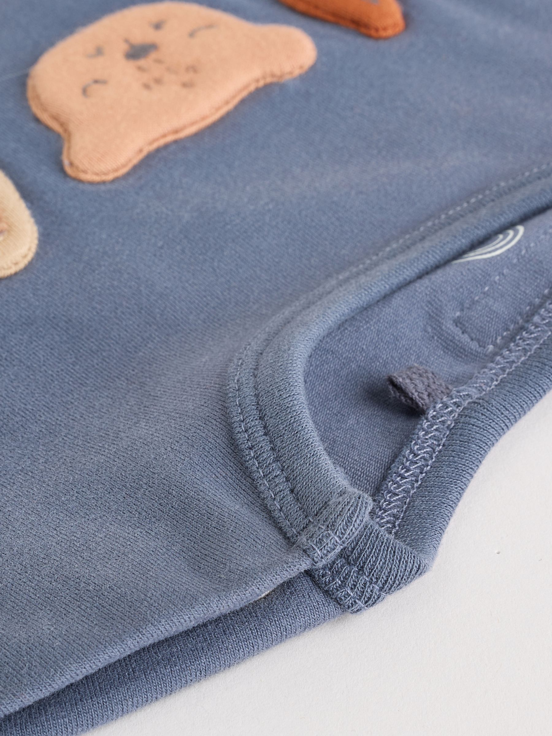 Buy Blue Woodland Baby Top and Leggings Set 2 Piece (0mths-3yrs) from ...