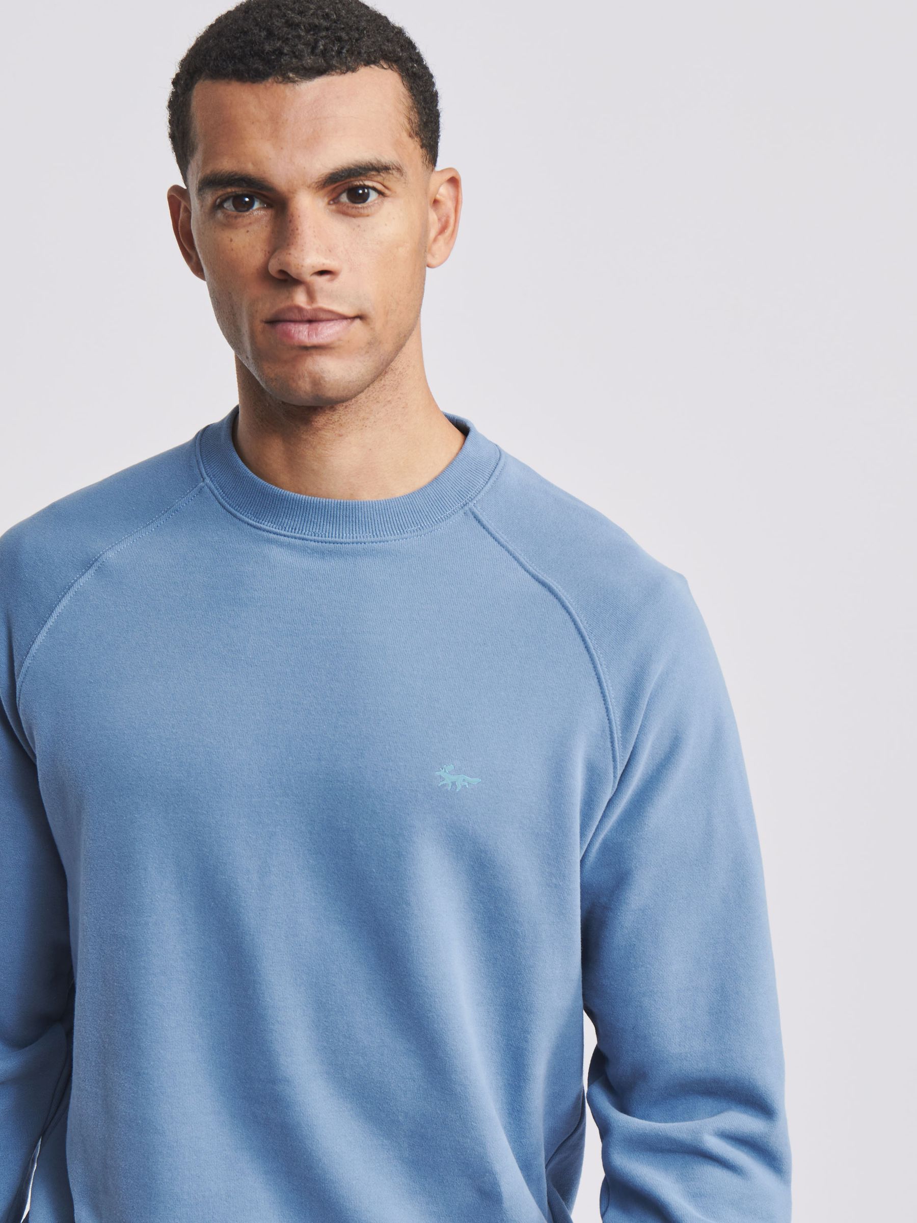 Buy Aubin Blue Ash Crew Neck 100% Cotton Sweat Top from the Next UK ...