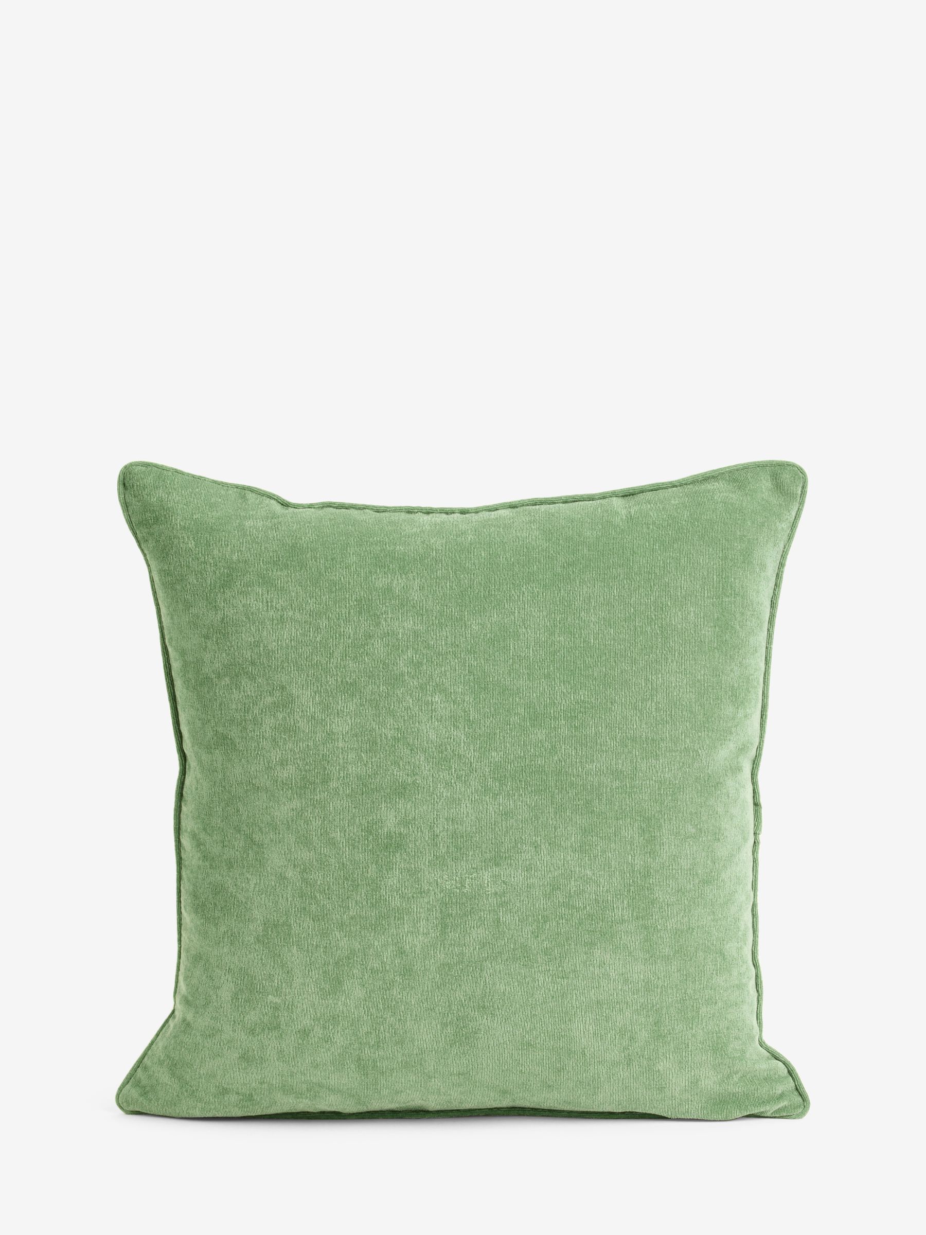 Buy Light Green 45 x 45cm Soft Velour Cushion from the Next UK online shop