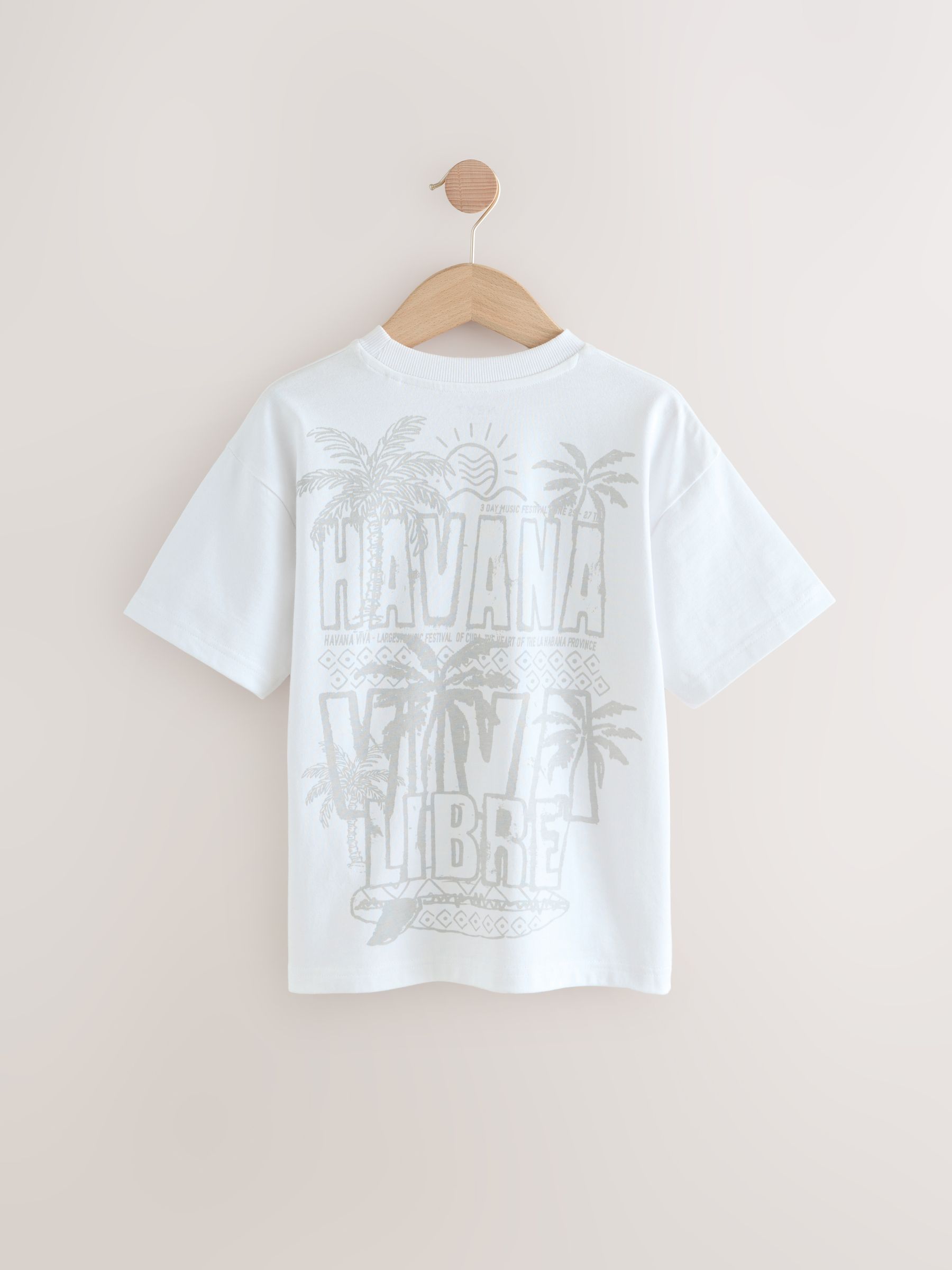 Buy White Back Print Relaxed Fit Short Sleeve Graphic Print T-Shirt (3-16yrs) from the Next UK ...