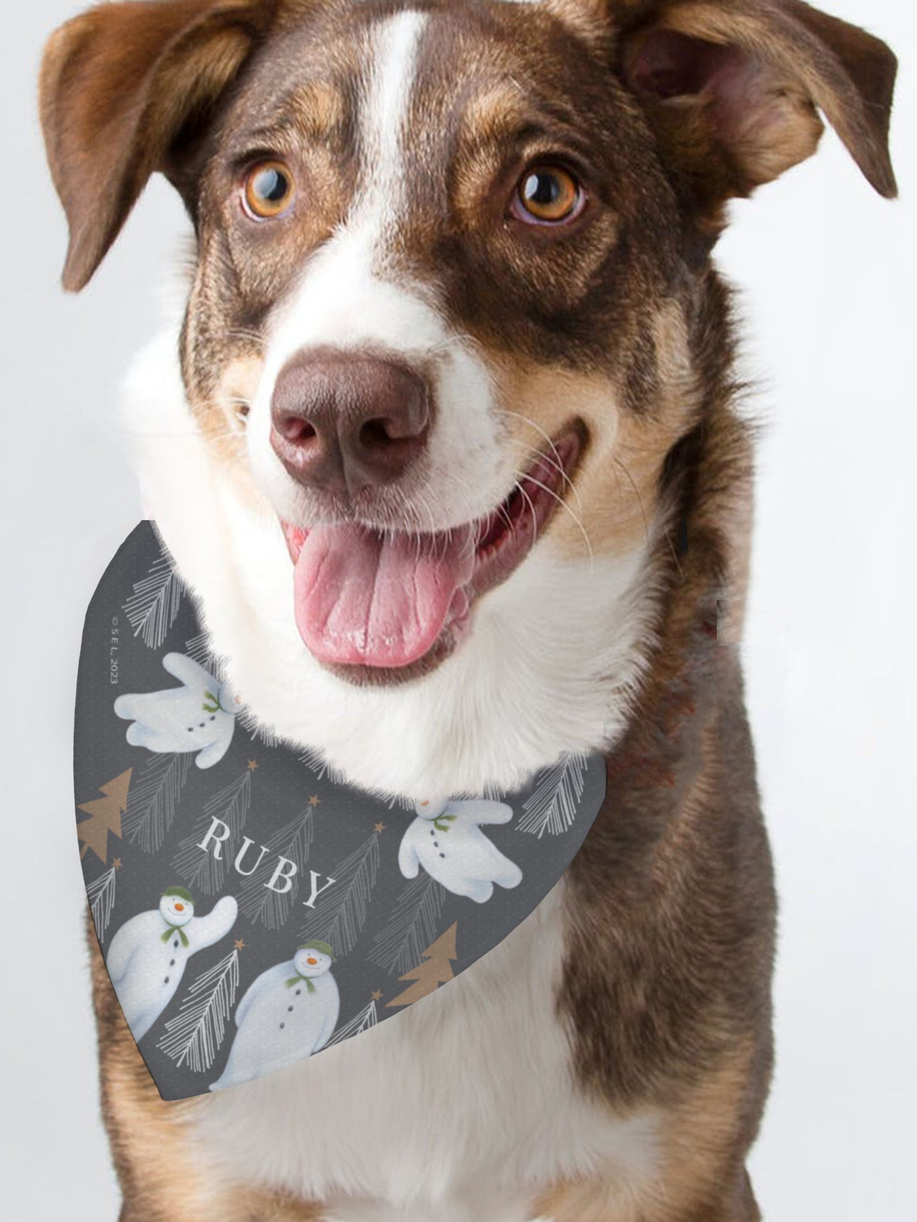 Buy Personalised The Snowman Dog Bandana by PMC from the Next UK online ...