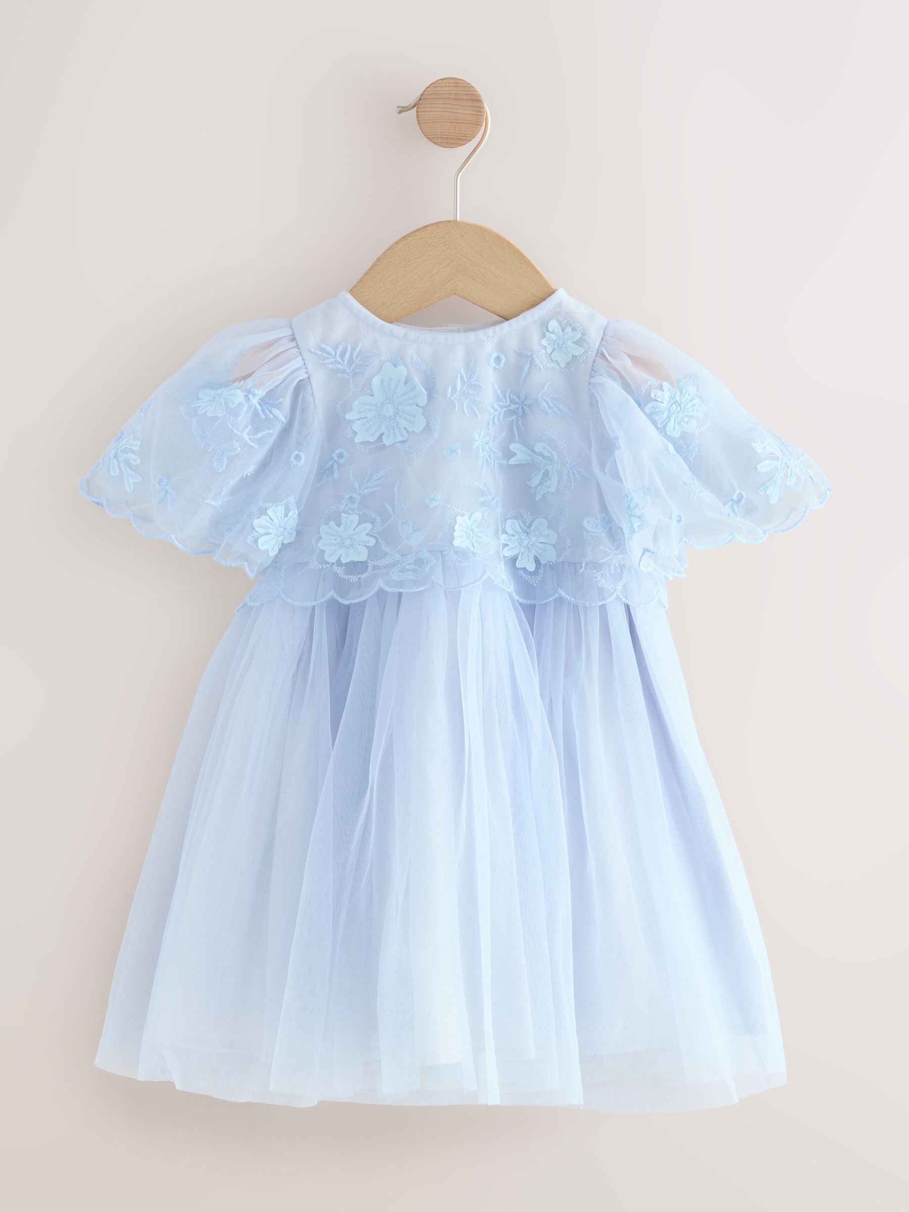 Buy Pale Blue Embroidered Mesh Dress (3mths-8yrs) from the Next UK ...