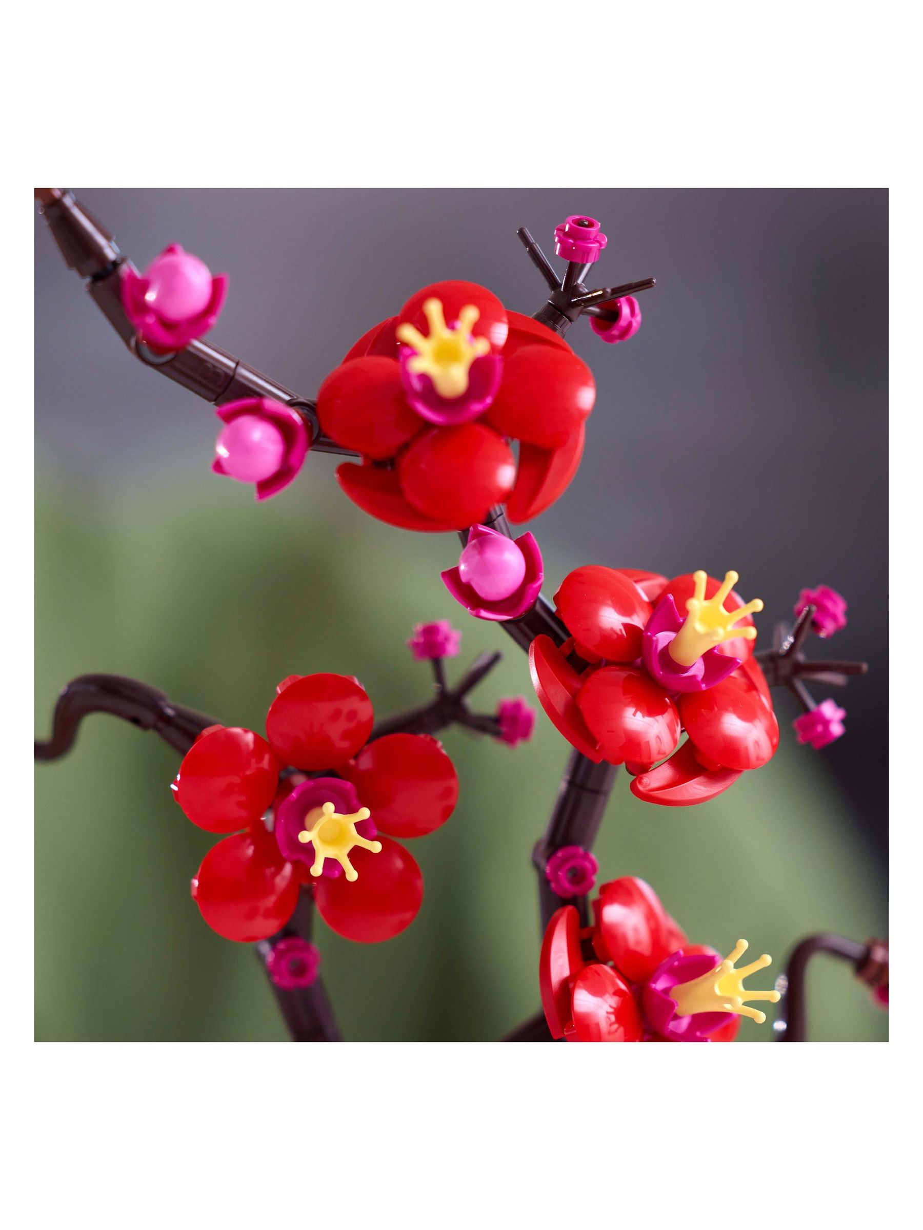 Buy Lego Icons Plum Blossom Flower Home Decor Set 10369 from the Next ...