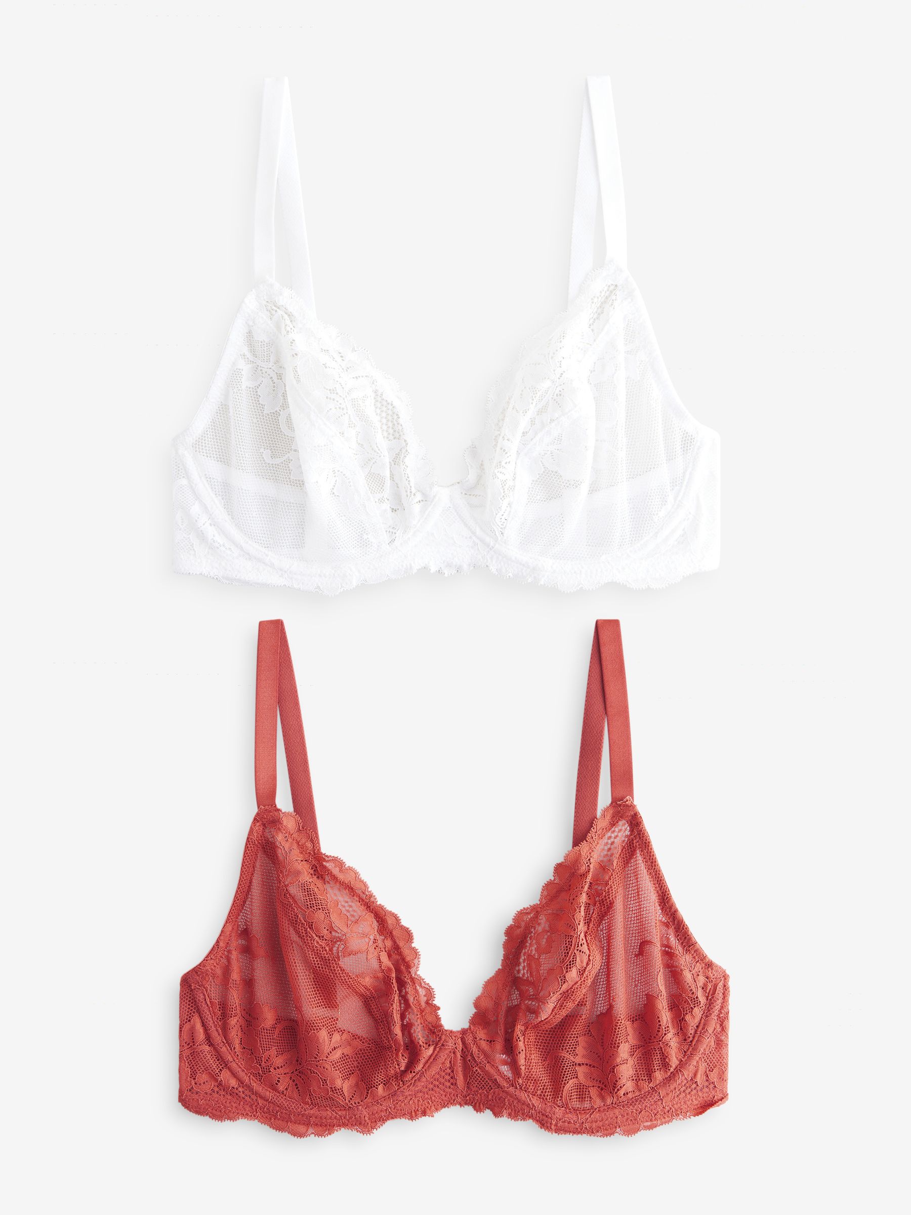 Buy White/Rust - DD+ Lace Bras 2 Pack from Next Saudi Arabia