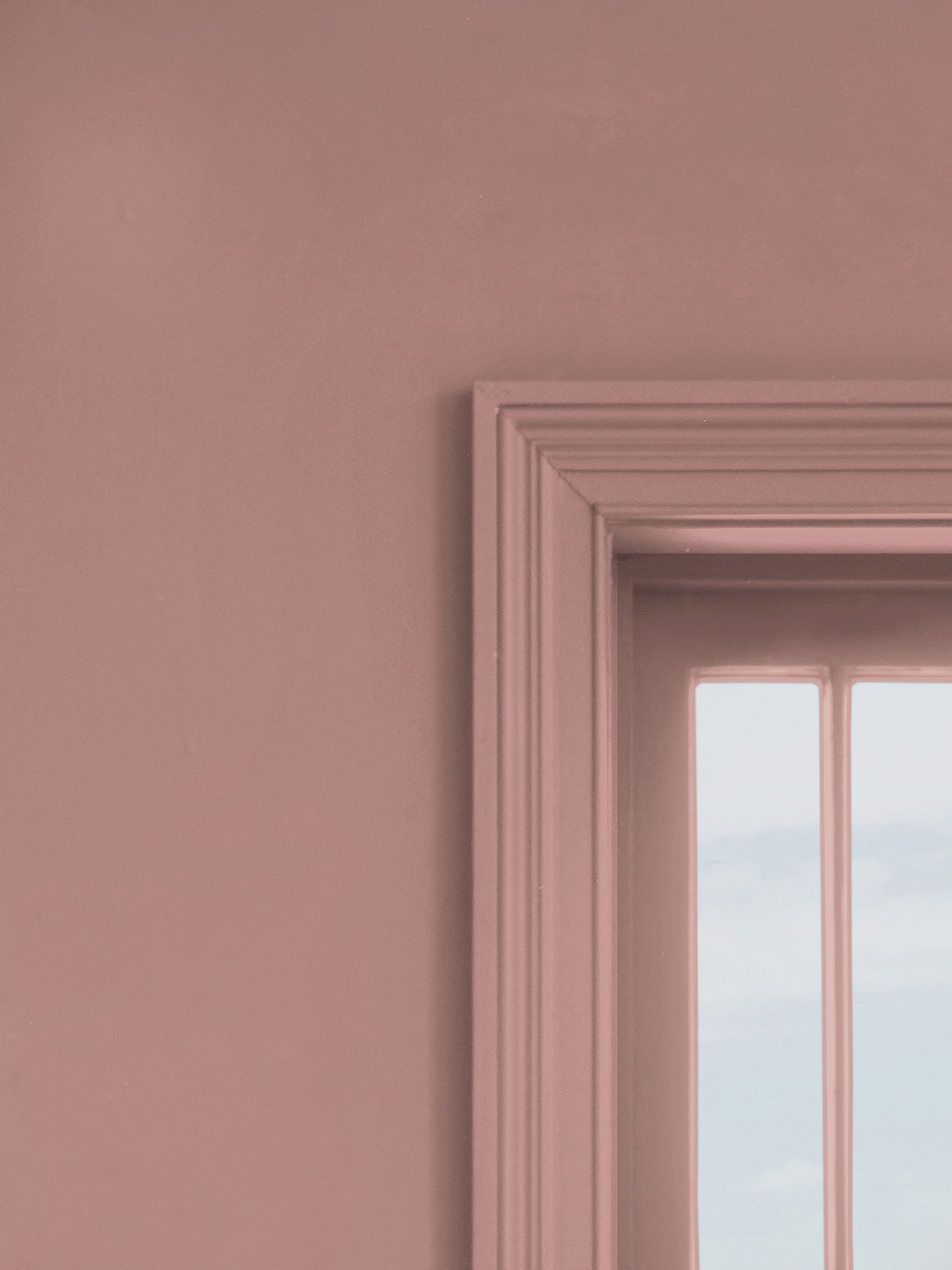 Buy Rose Pink Ultimate Multi-Surface 2.5L Paint from the Next UK online ...