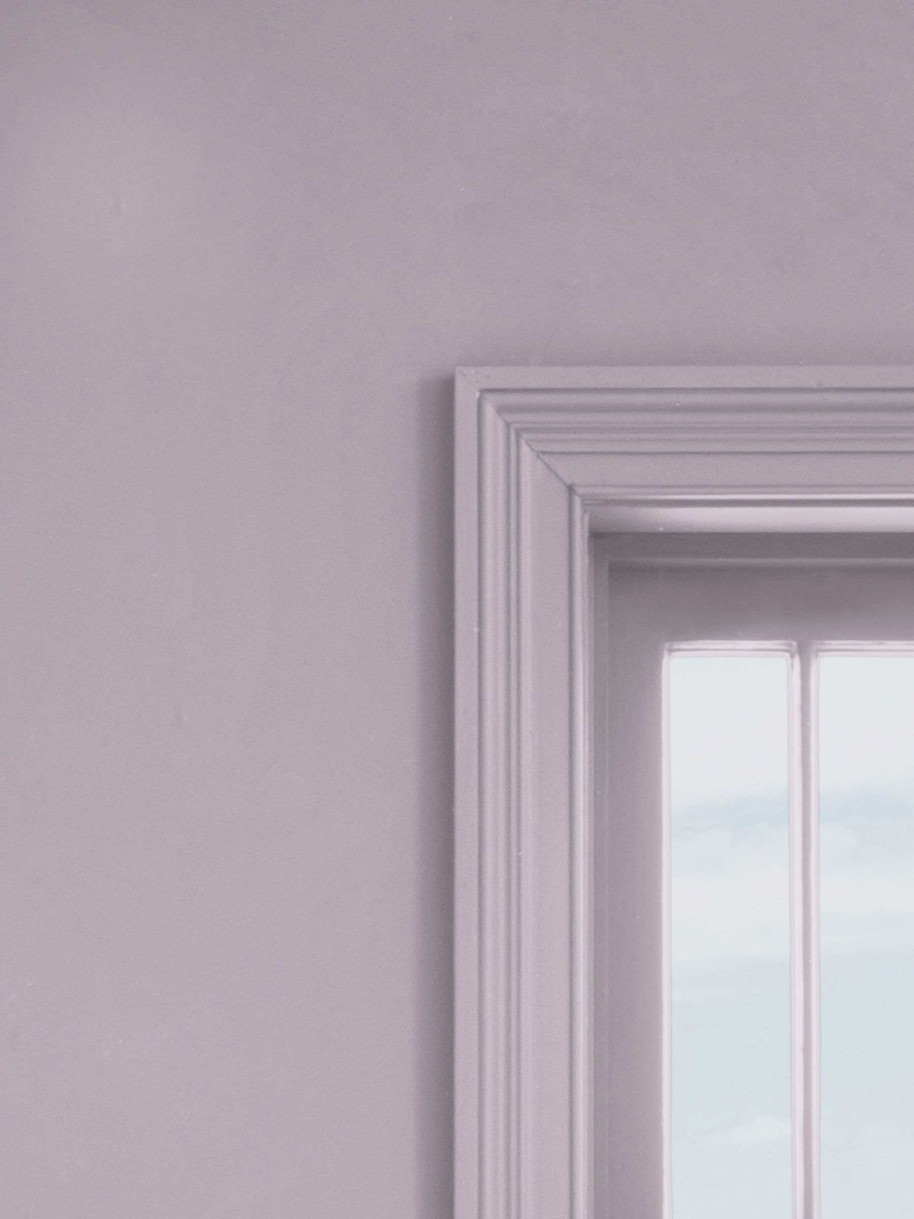 Buy Light Mauve Ultimate Multi-Surface 2.5L Paint from the Next UK ...