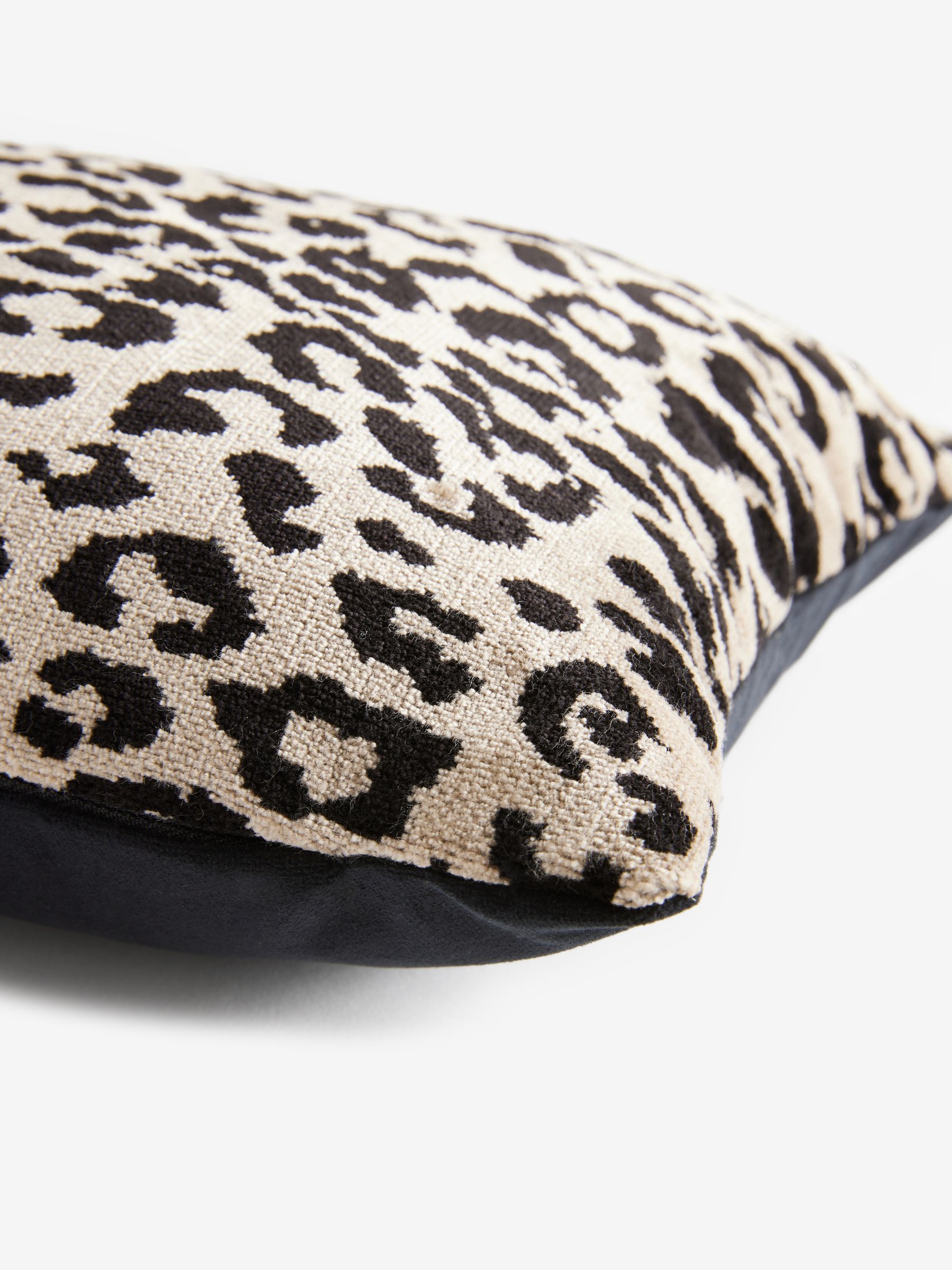 Buy Black 50 x 30cm Velvet Leopard Print Cushion from the Next UK ...